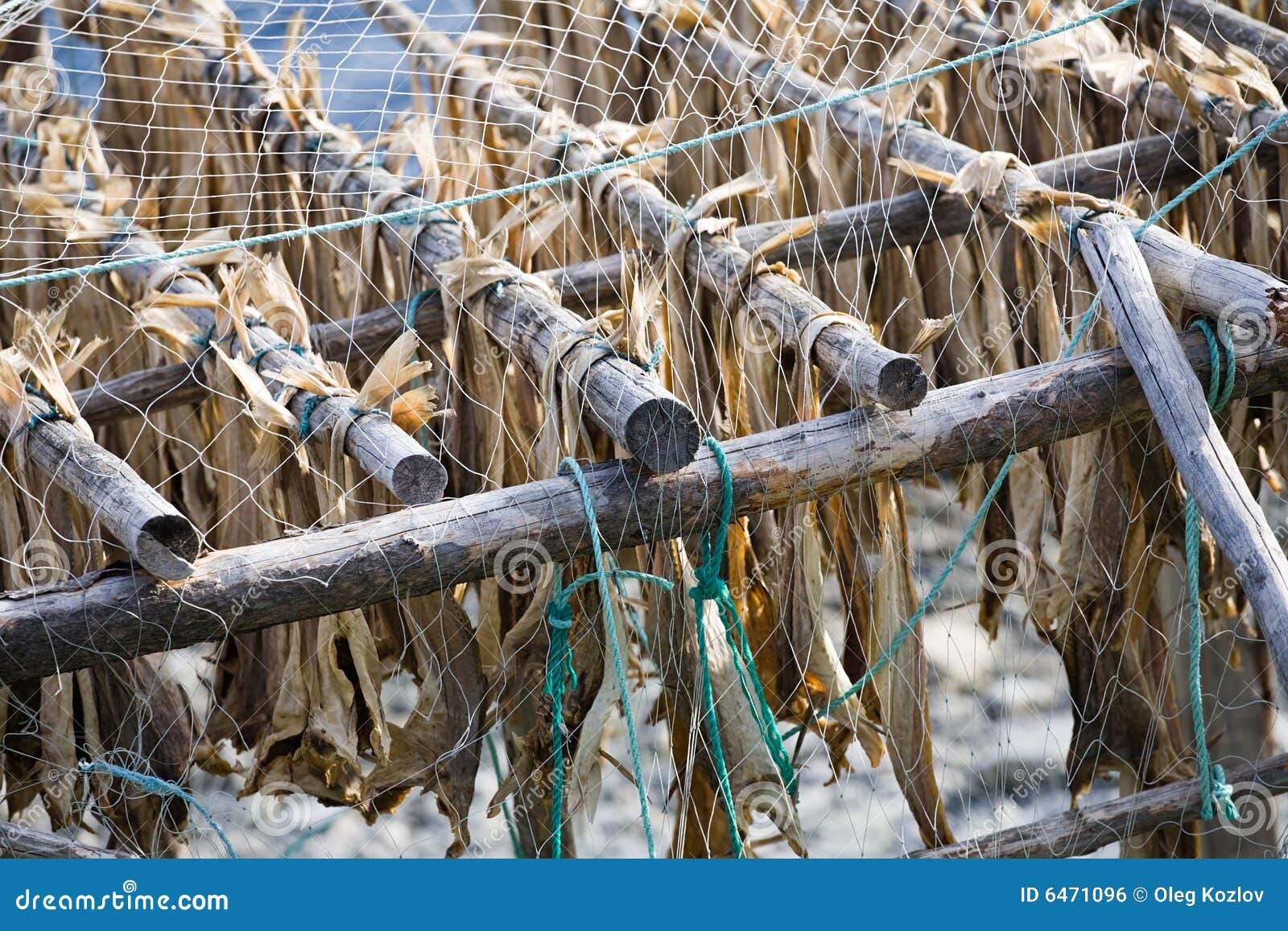 Dry fish stock photo. Image of stockfish, white, traditional - 6471096