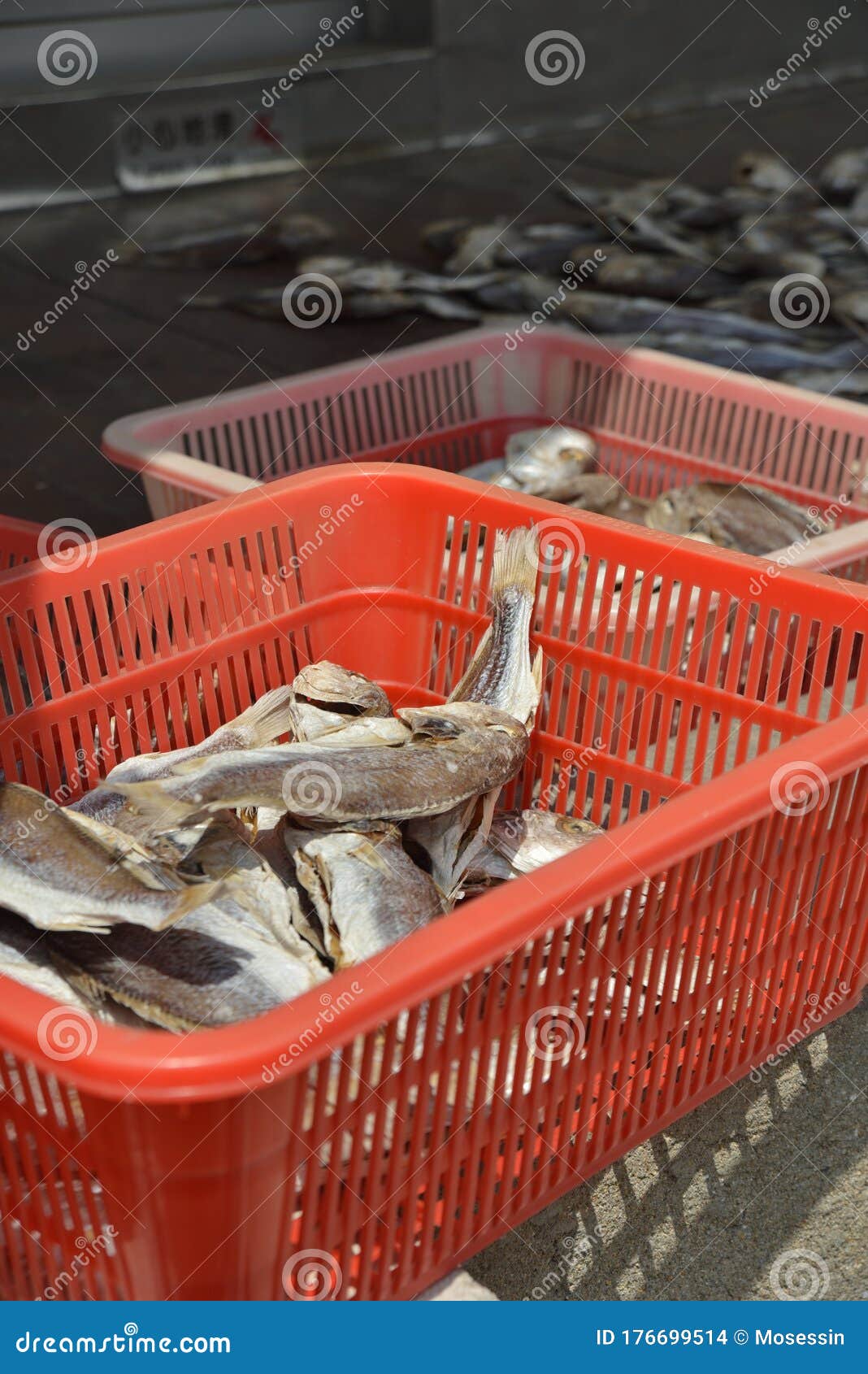 Dry fish in basket stock photo. Image of preserving - 176699514
