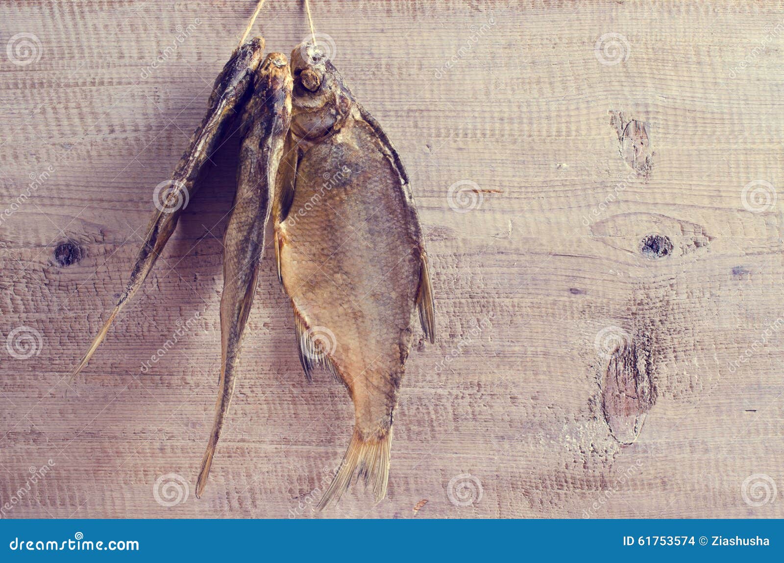 Dry fish bream stock photo. Image of life, drought, food - 61753574