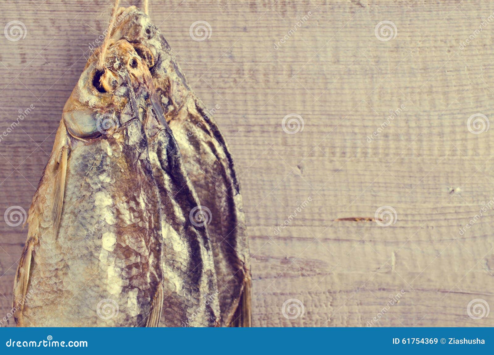 Dry fish bream stock image. Image of nature, preparation - 61754369