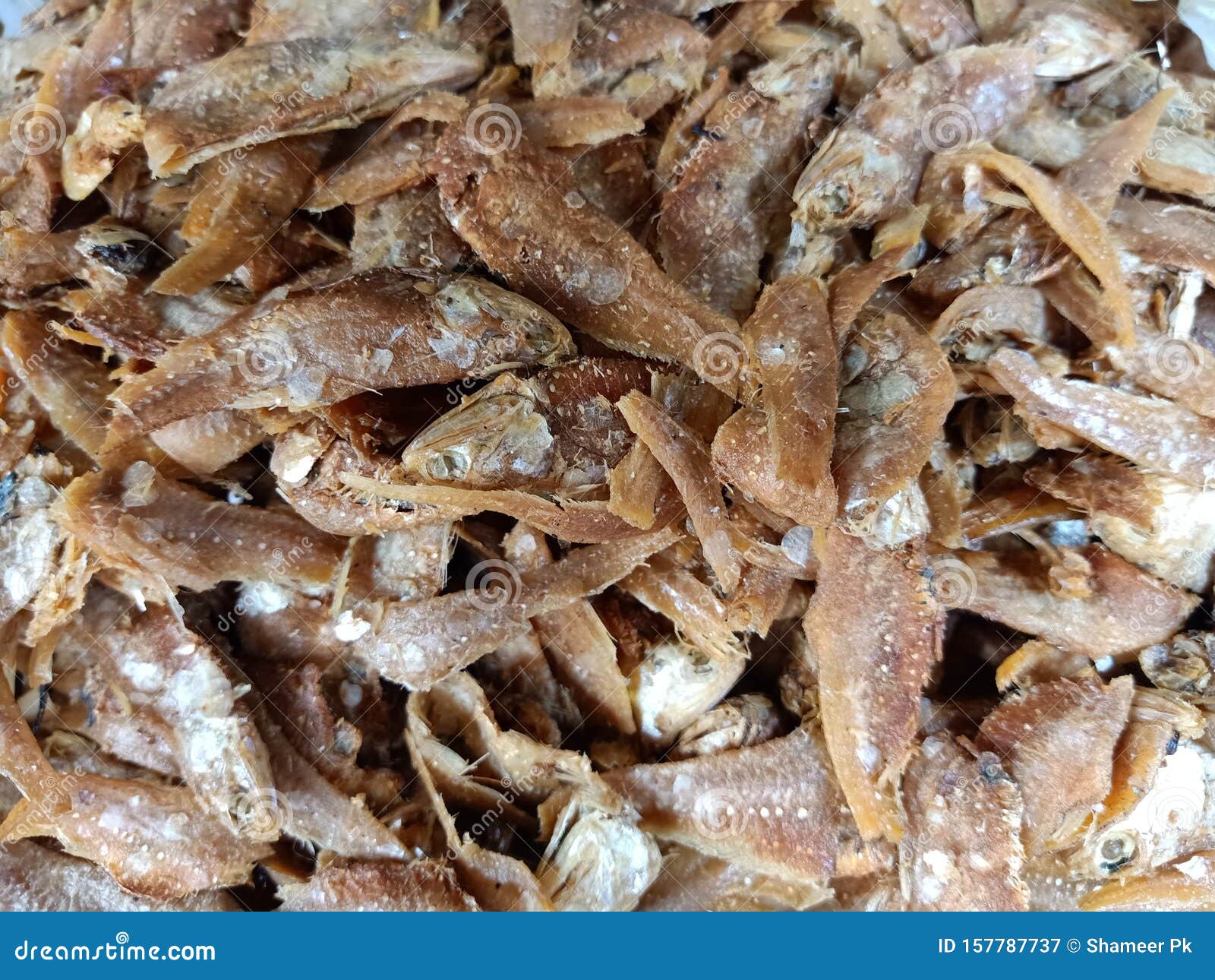 Dry fish food stock image. Image of seafood, wood, invertebrate - 157787737