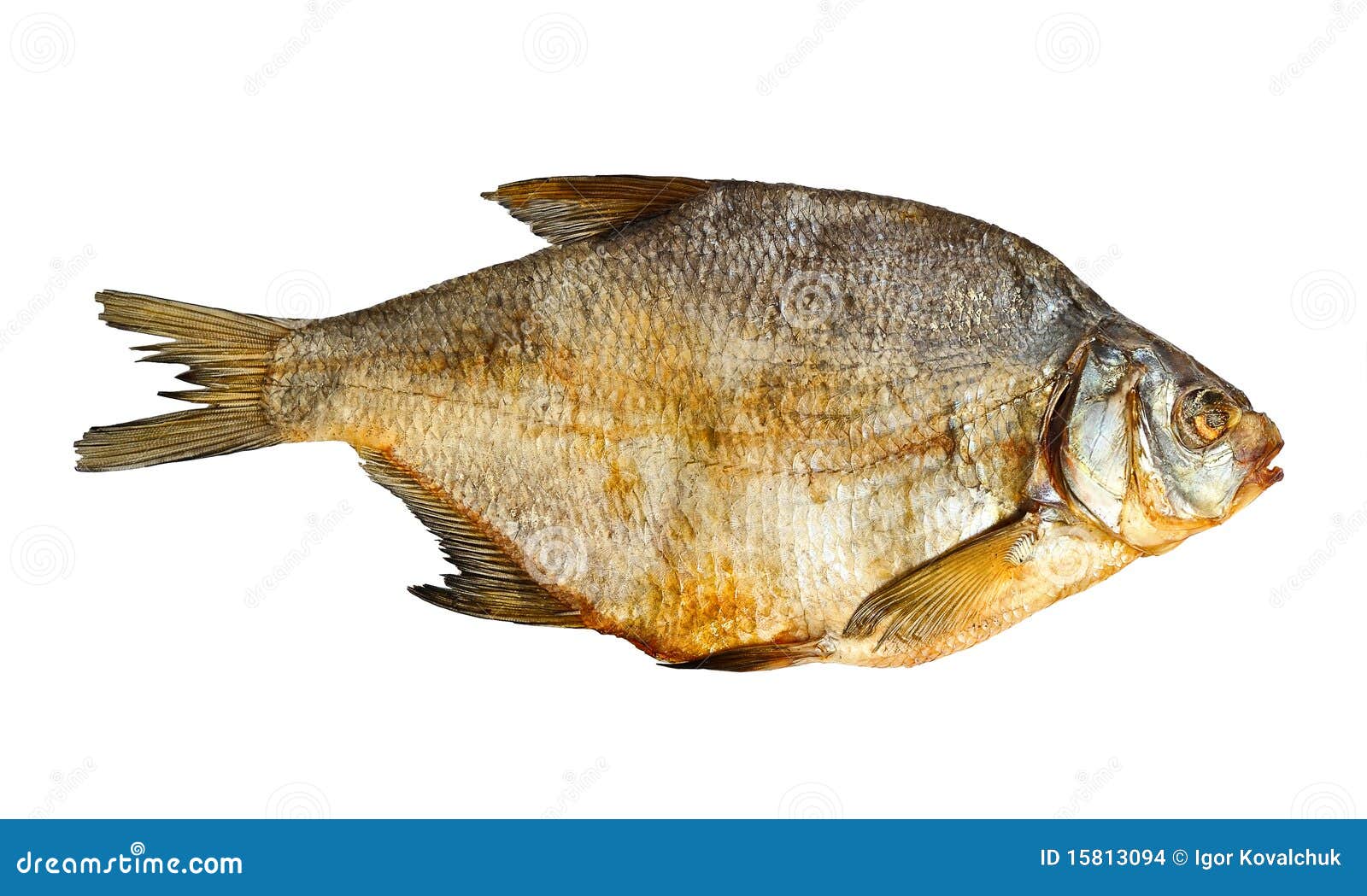 Dry fish isolated stock photo. Image of preserved, gourmet - 15813094