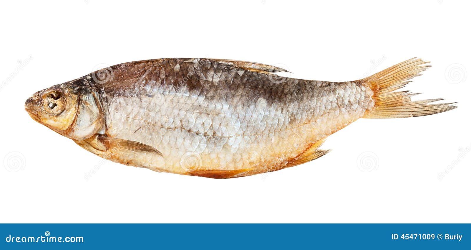 Dry fish stock image. Image of meal, gastronomy, preserve - 45471009