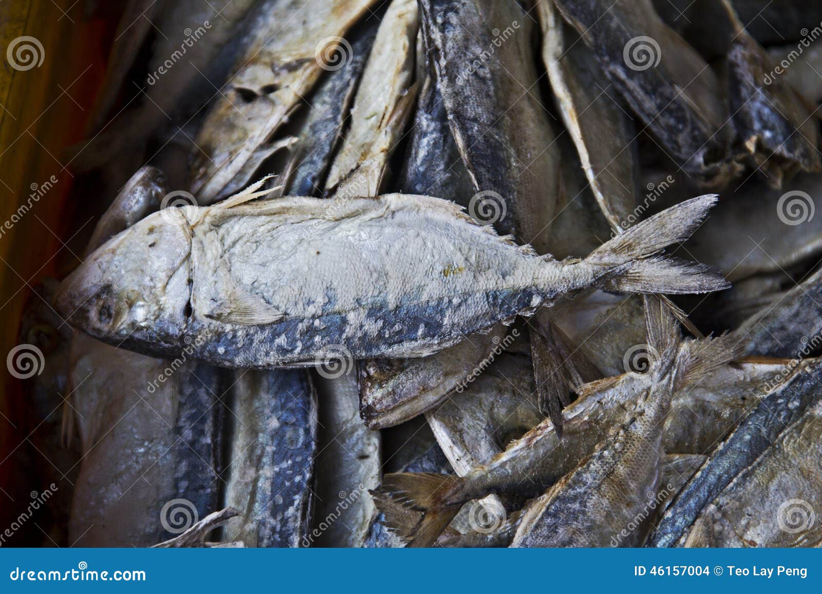 Dry fish stock photo. Image of fresh, basket, delicious - 46157004