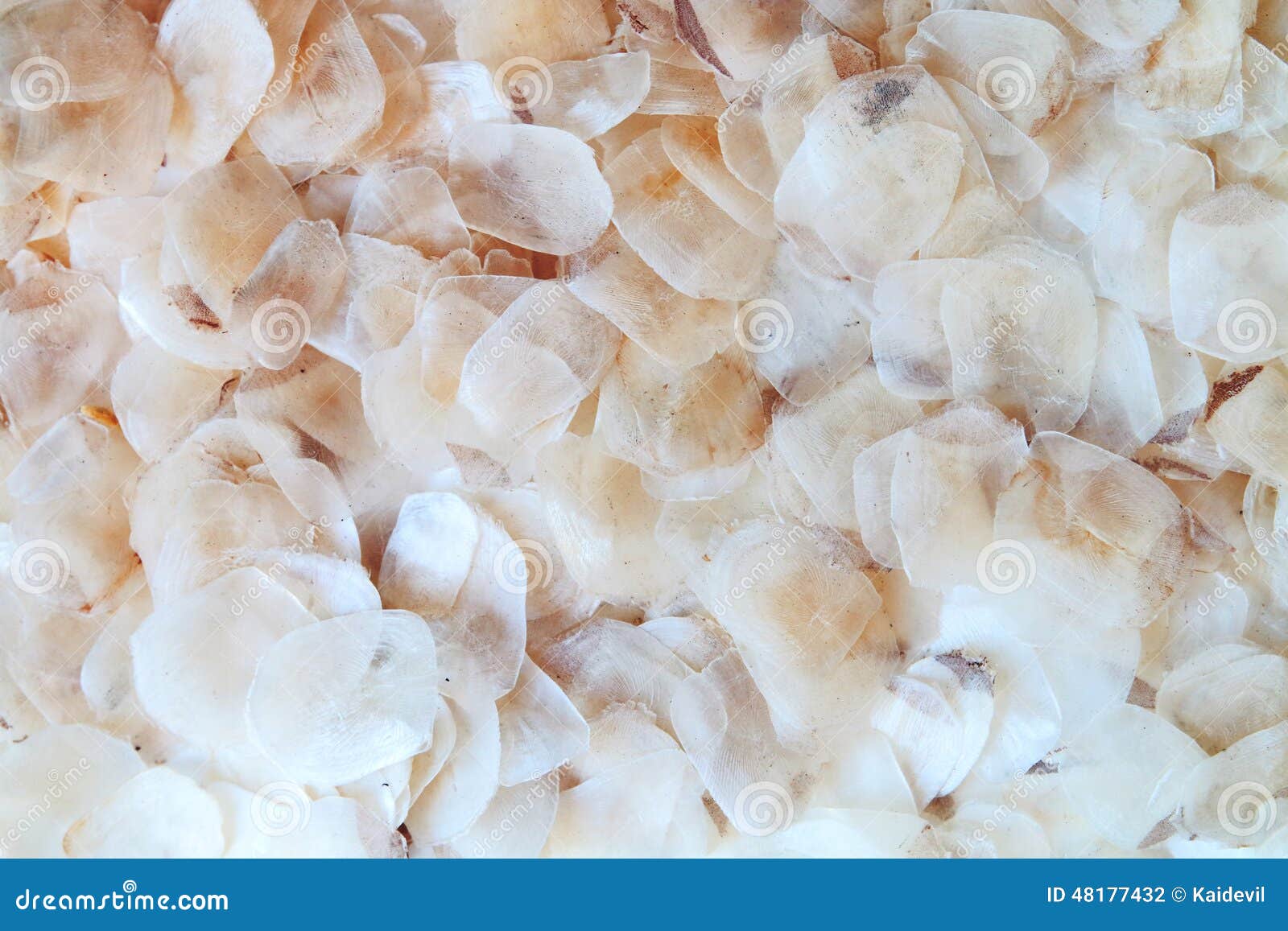 Dry fish scale stock photo. Image of color, fishery, small - 48177432