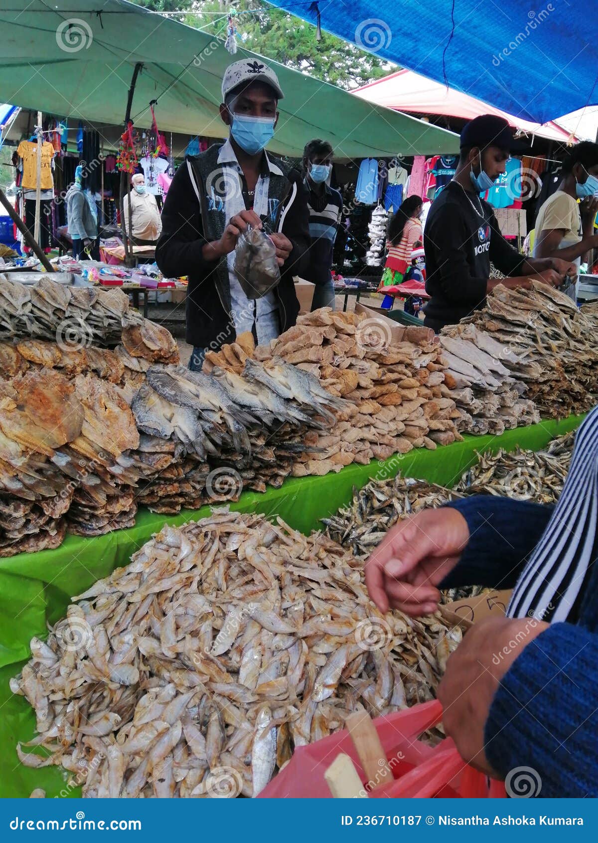 Fish Fair At Saptagram Royalty-Free Stock Image | CartoonDealer.com ...