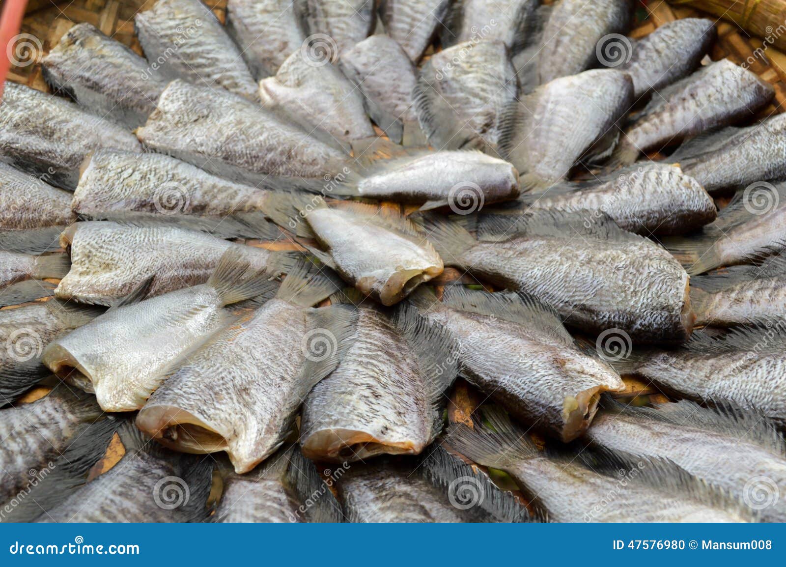 Dry fish stock photo. Image of dried, food, animal, fish - 47576980