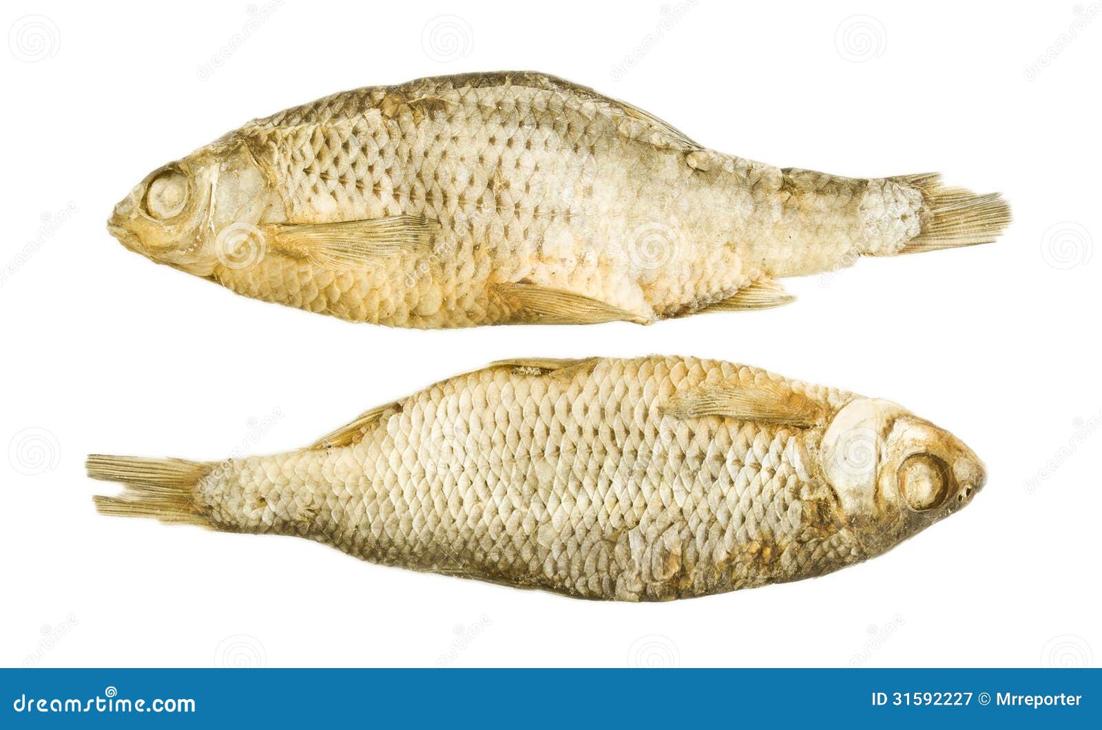 Dry fish stock image. Image of commercial, storage, fishing - 31592227