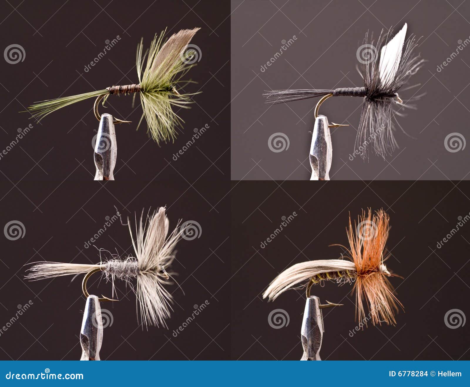 Dry Flies stock photo. Image of flyfish, fishhook, fishy - 6778284