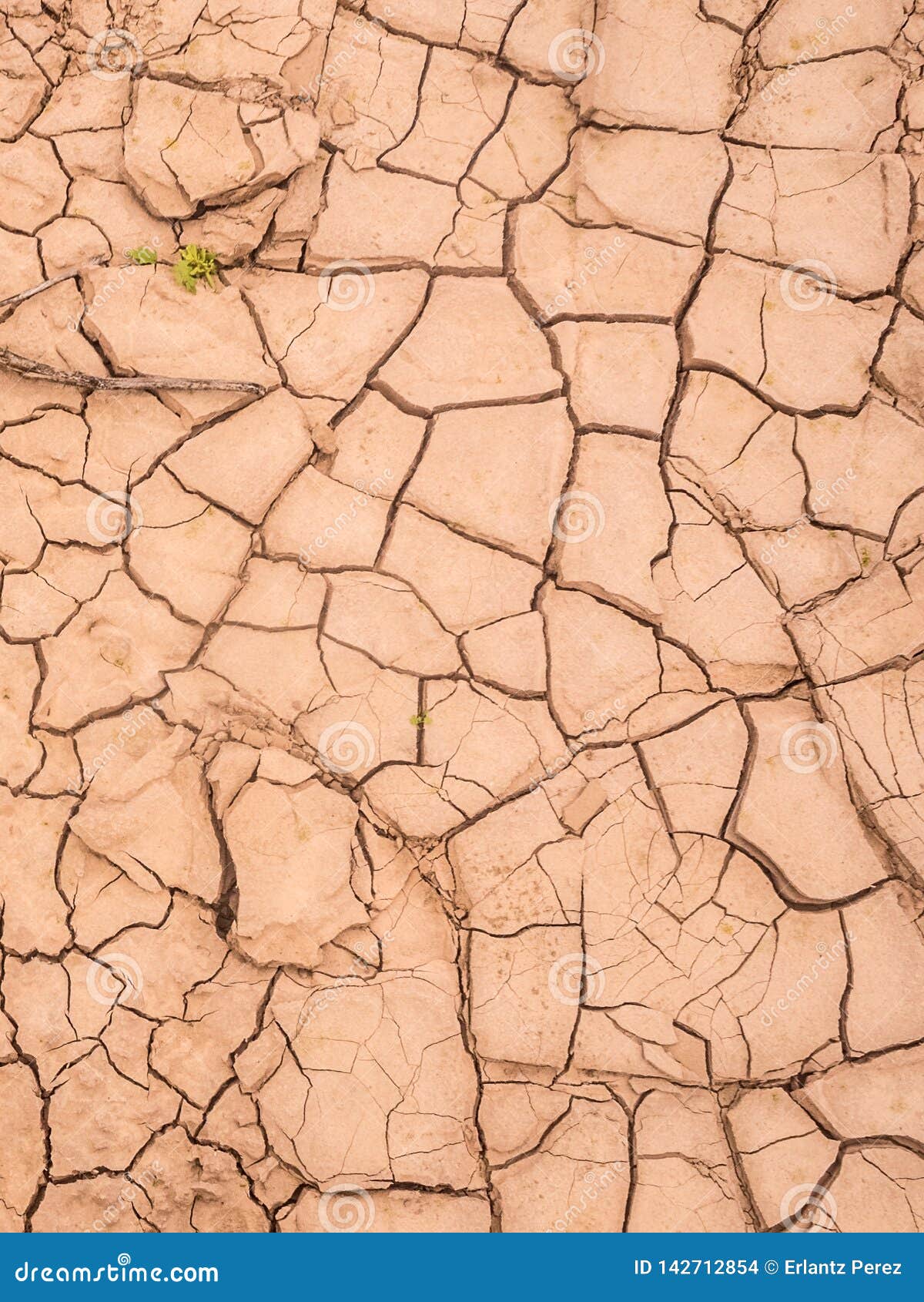 Dry Floor in the Desert of Atacama Stock Photo - Image of brush, field ...