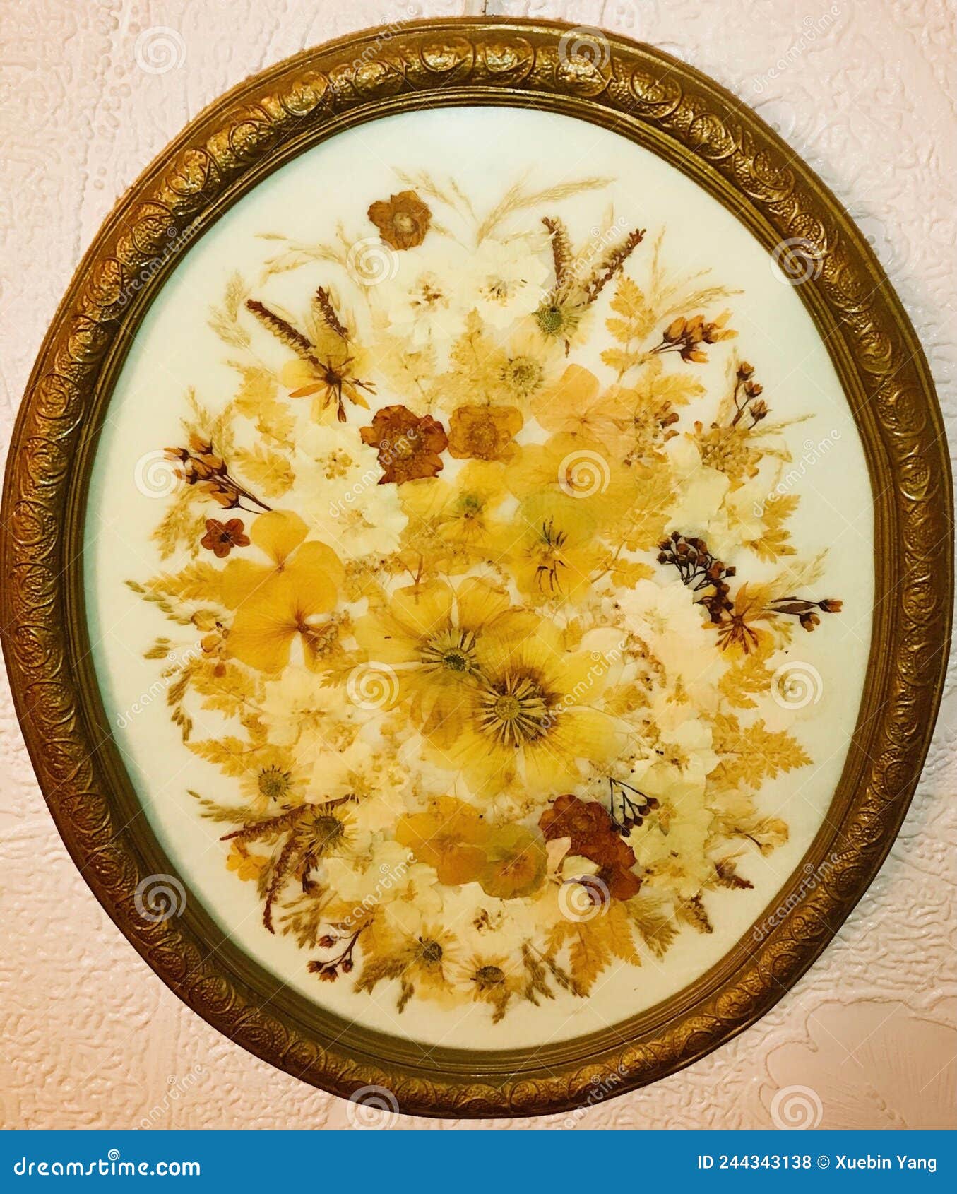 Dry flower frame stock photo. Image of flowers, decorations - 244343138