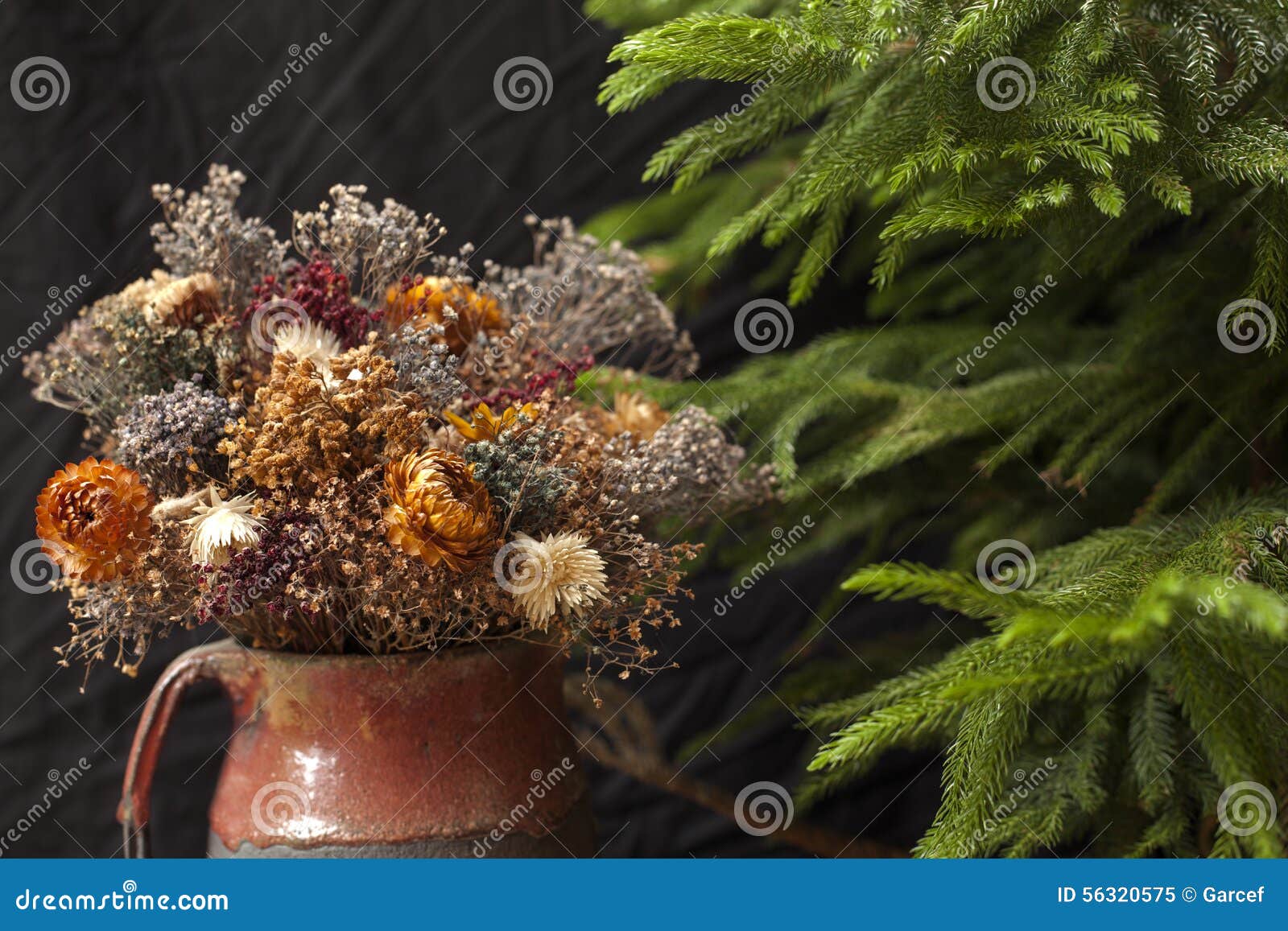 Dry flowers and pine tree stock image. Image of dead - 56320575