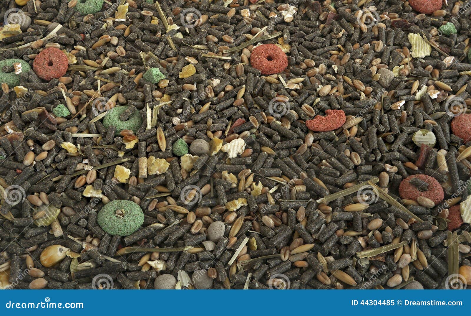 Dry Food for Rabbits and Other Rodents Stock Image - Image of press ...