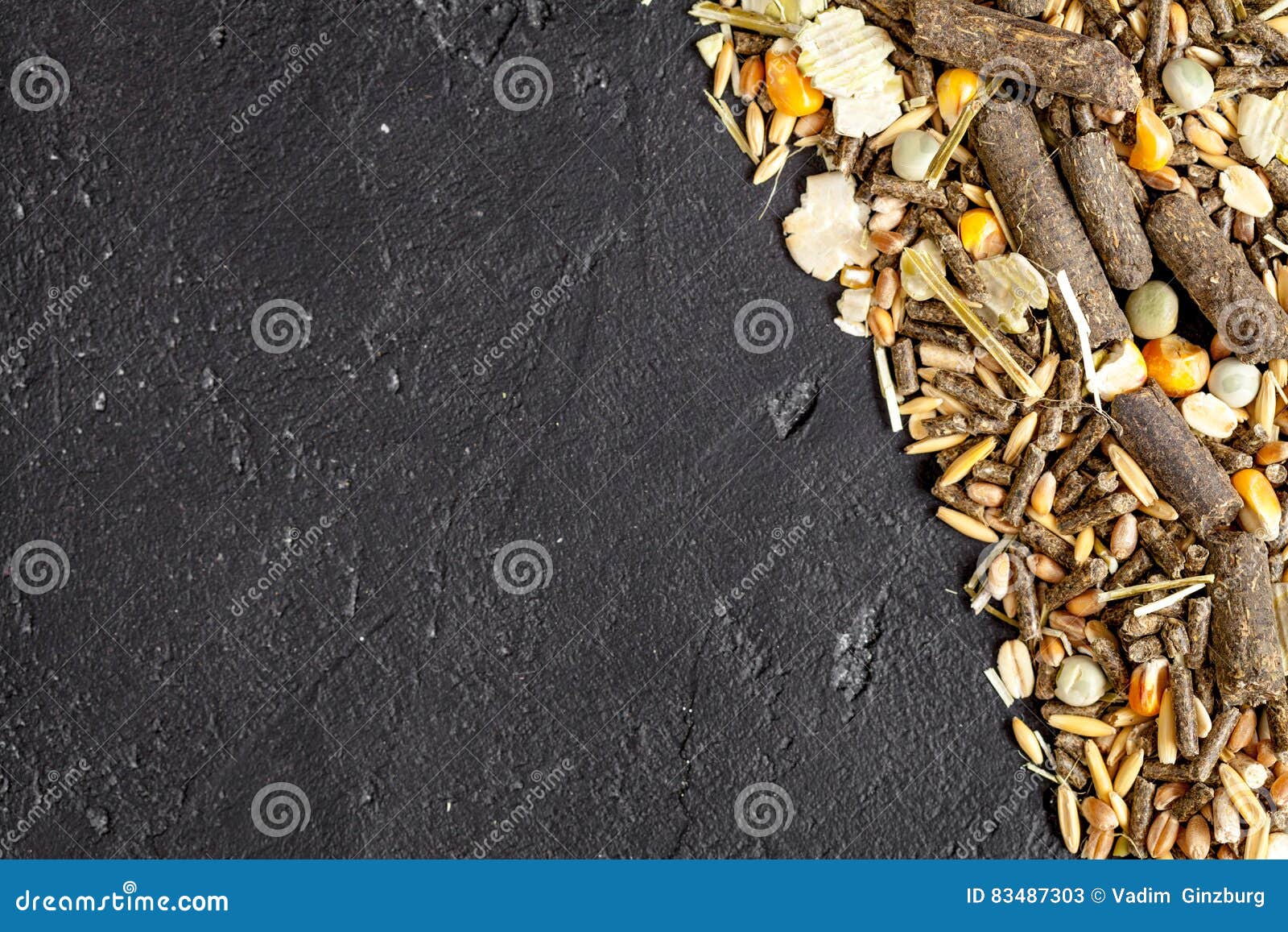 Dry Food for Rodents on Dark Background Top View Stock Image - Image of ...