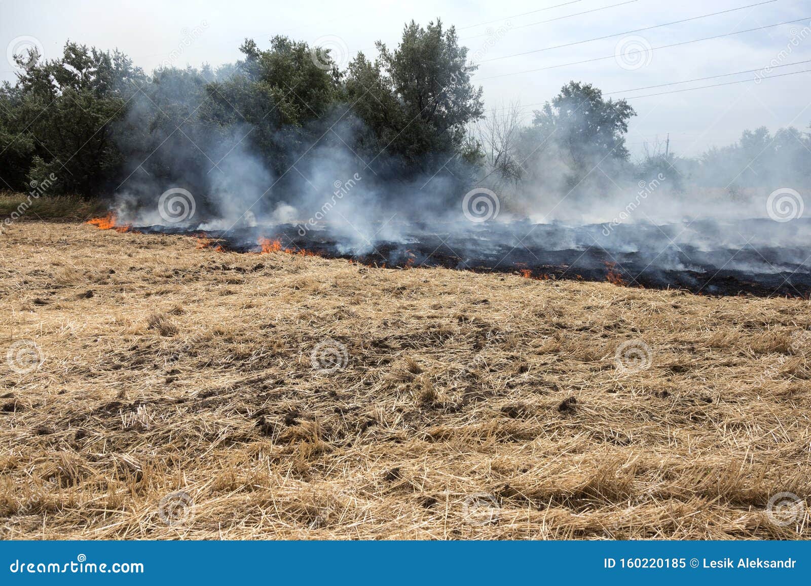 Dry Forest and Steppe Fires Completely Destroy Fields and Steppes ...