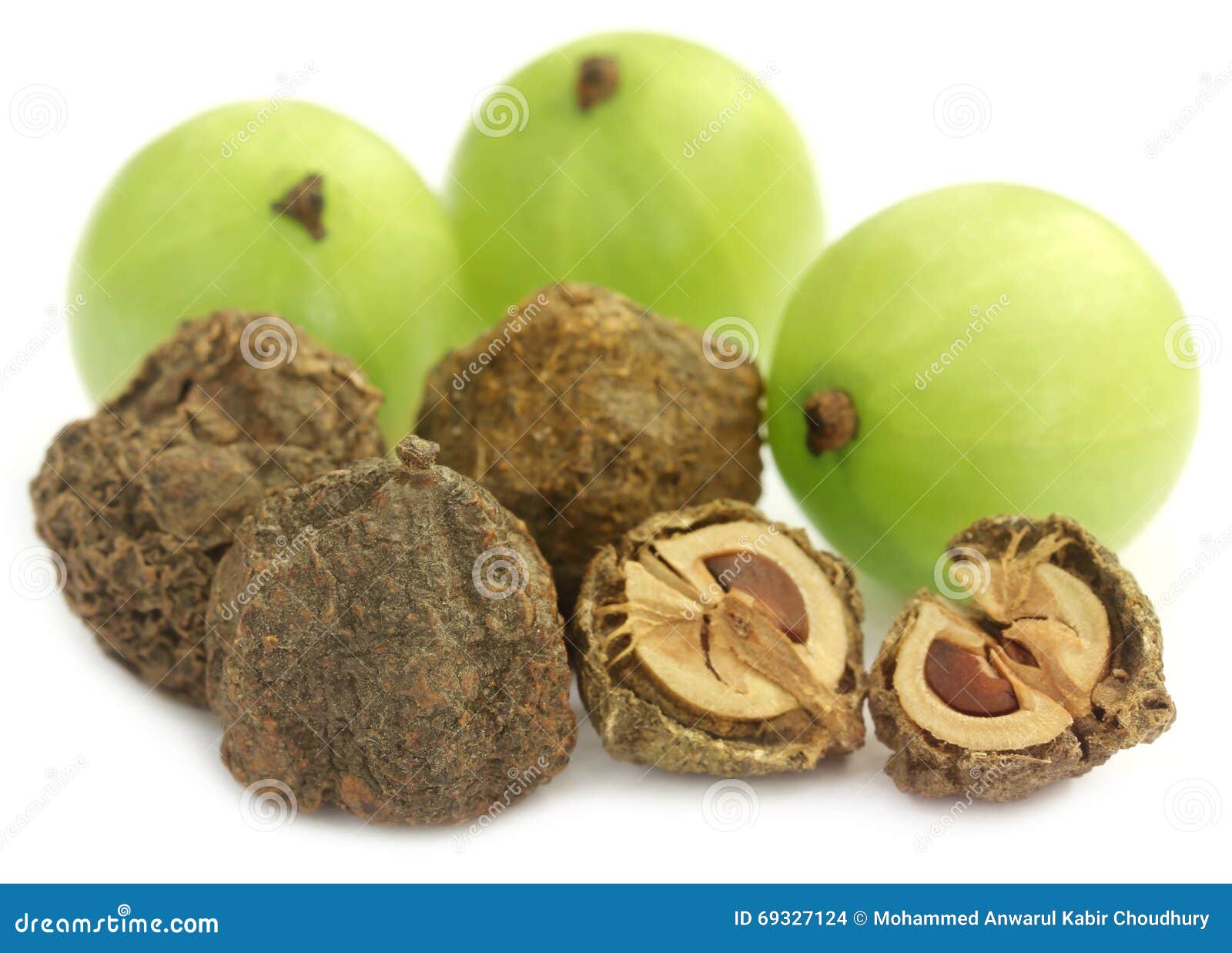 Dry and fresh amla stock photo. Image of ripe, healthy - 69327124