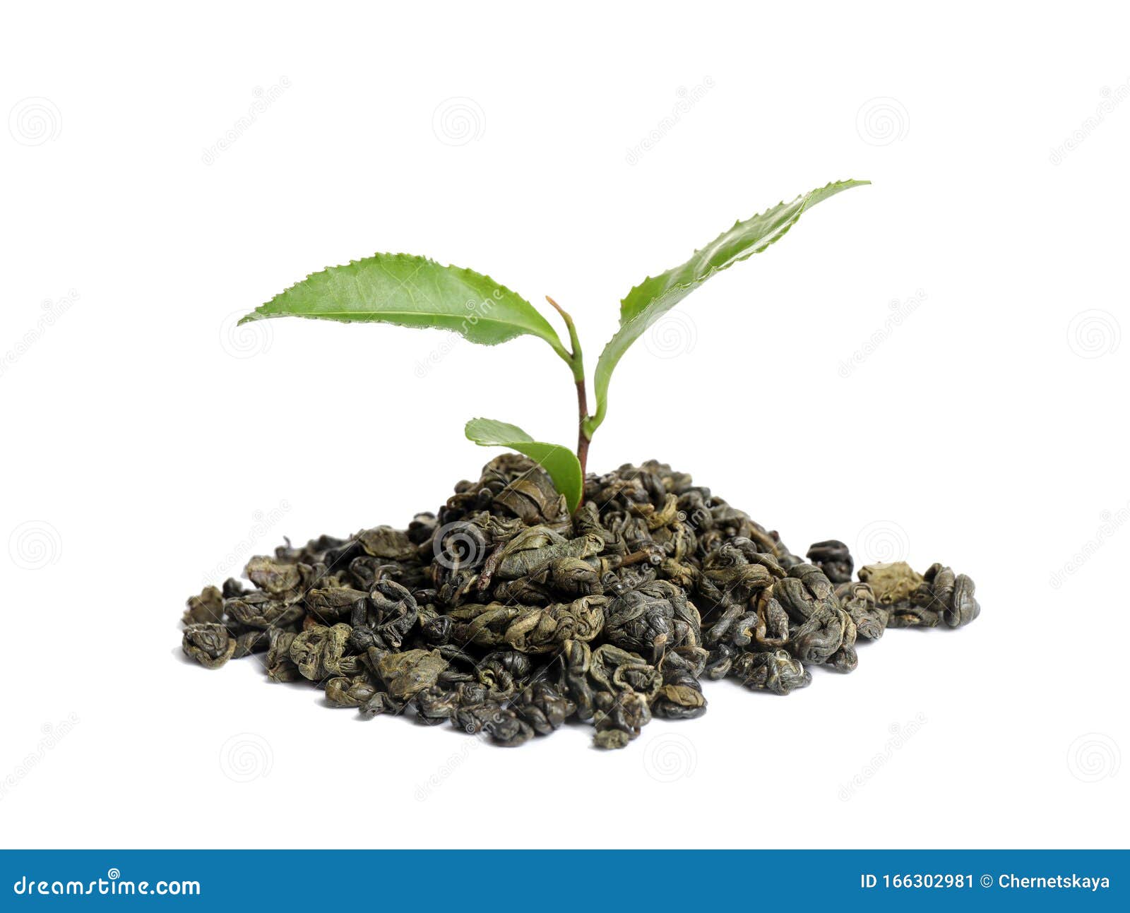 Dry and Fresh Tea Leaves Isolated Stock Image - Image of flora, culture ...