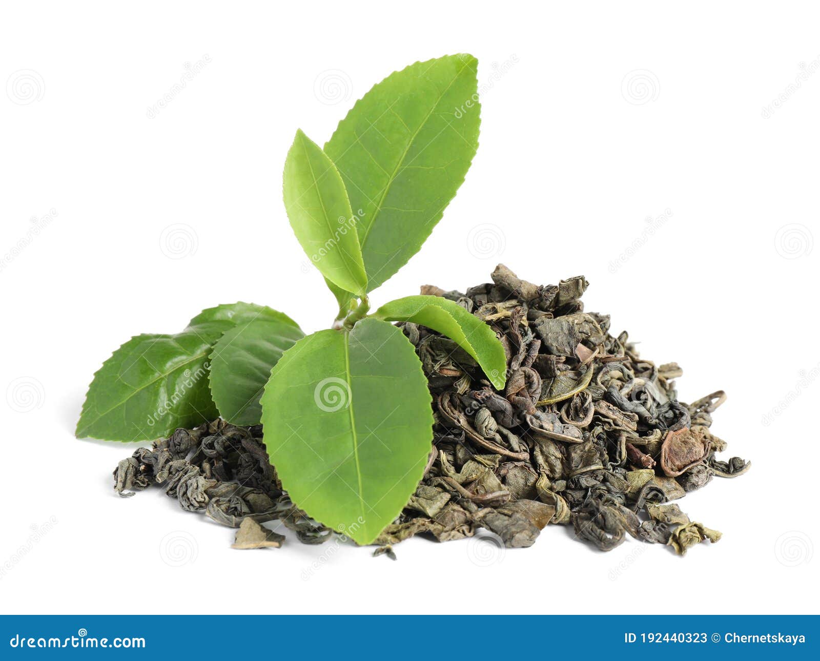 Dry and Fresh Tea Leaves Isolated Stock Image - Image of chinese ...