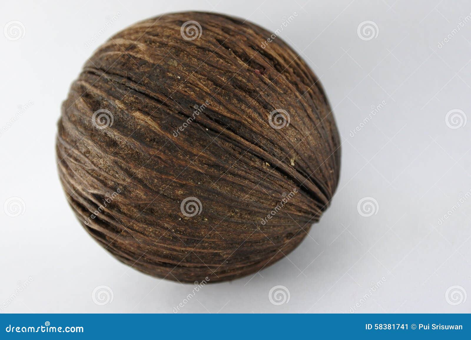 Dry fruit trees beautiful stock image. Image of decorated - 58381741