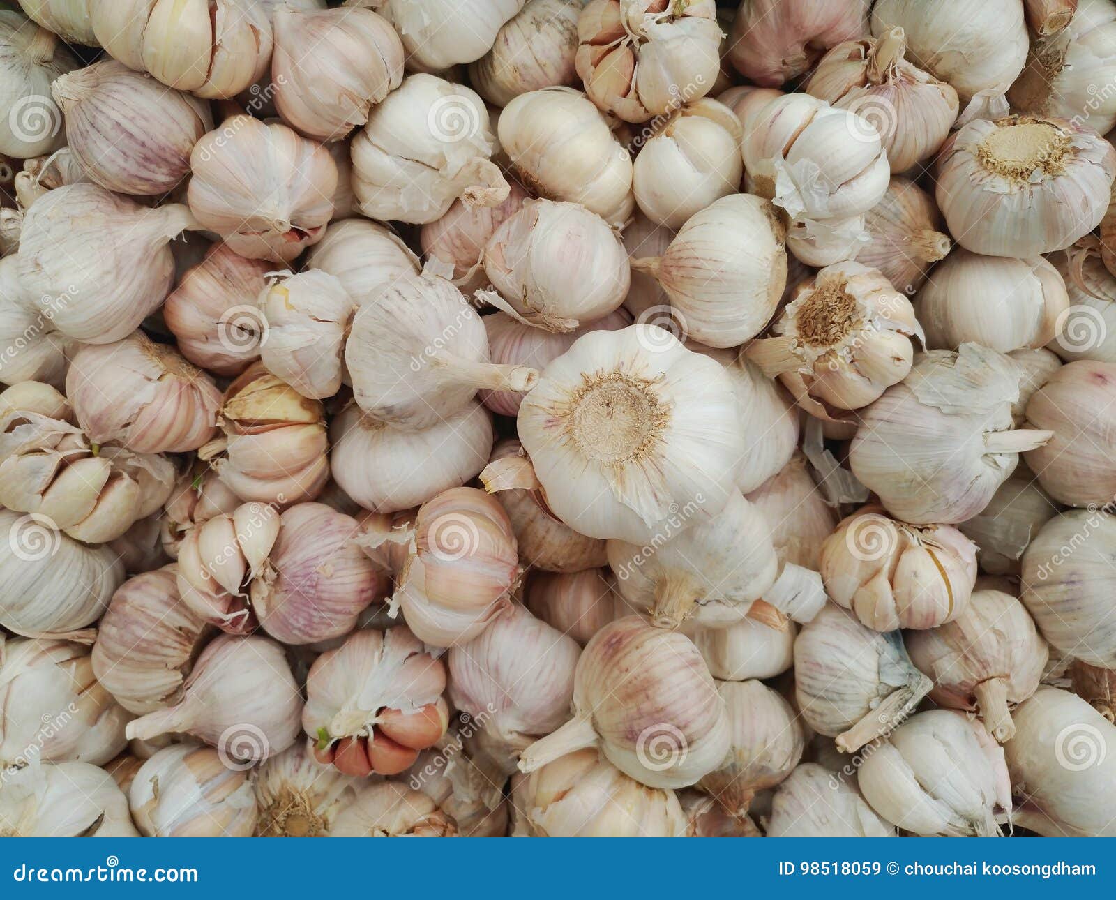 Dry Garlics in Group of Patterns Stock Image - Image of agriculture ...