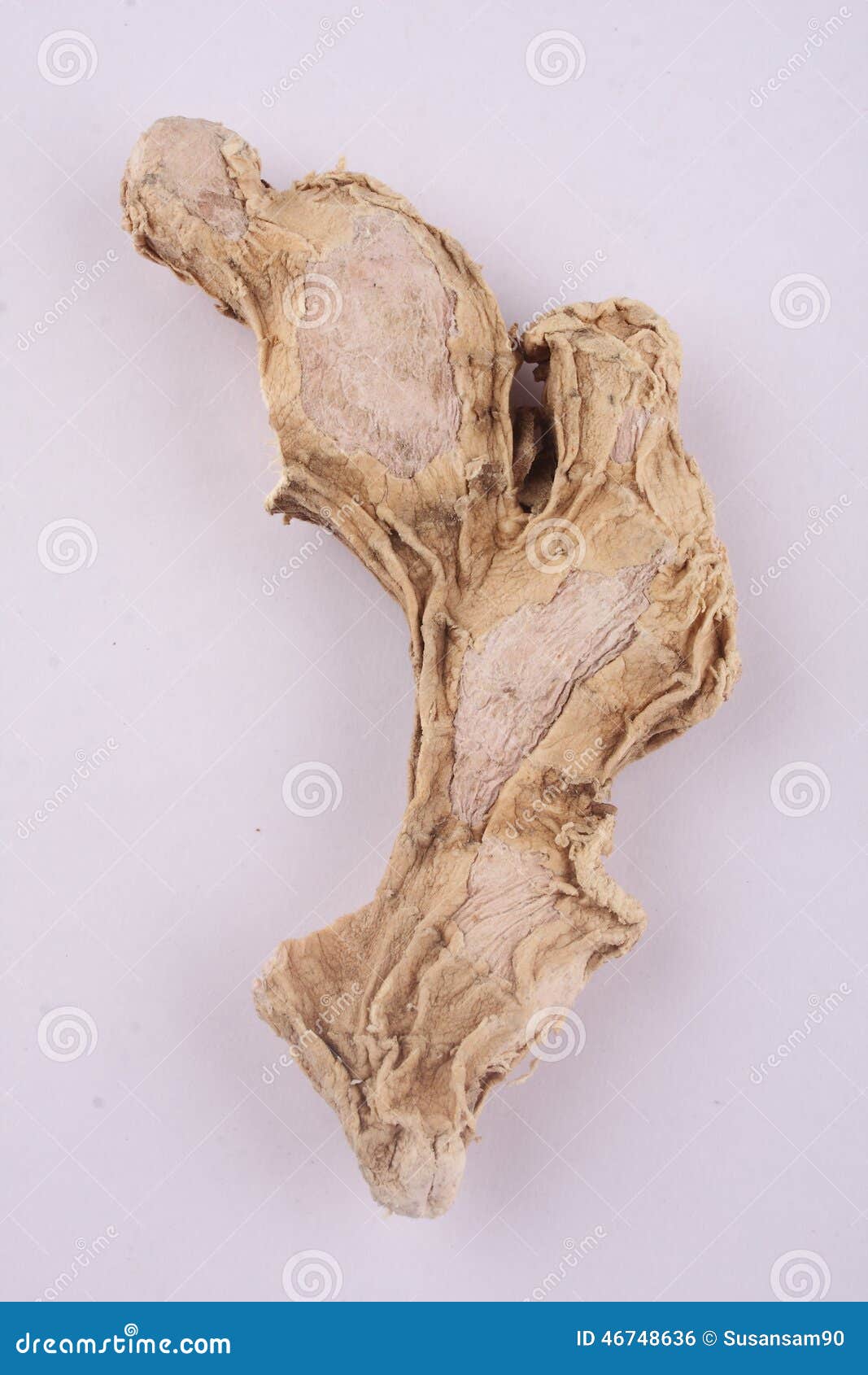 Dry Ginger Root from India. Stock Photo - Image of life, fresh: 46748636
