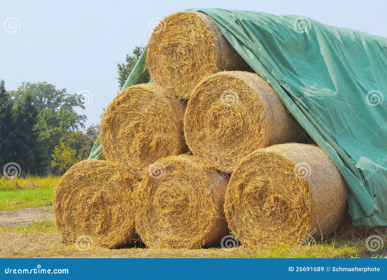 Dry golden Hay bales stock image. Image of meadow, bales - 26691689