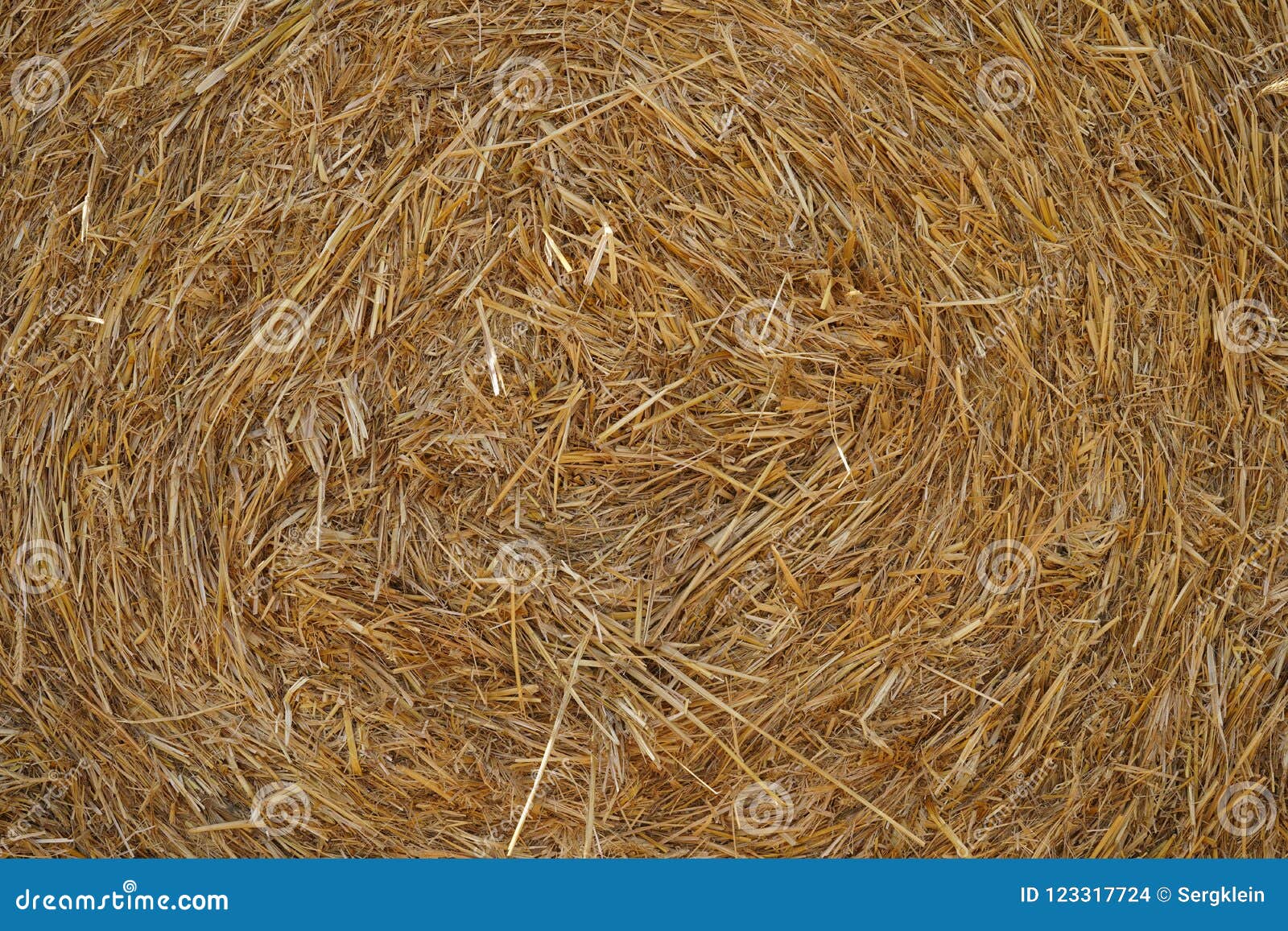 Hay Bale Texture, Dry Textured Straw Background, Golden Haystack In The ...