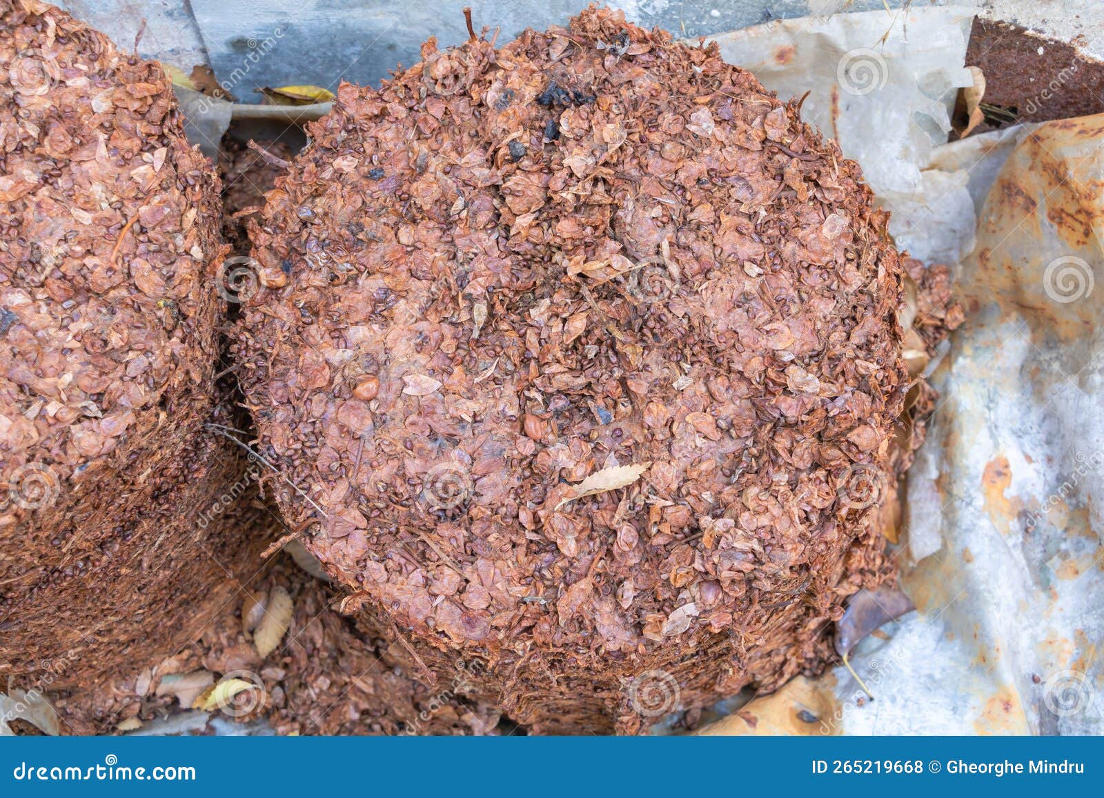 Dry Grape Pomace after Being Pressed - the Wine Making Process Stock ...