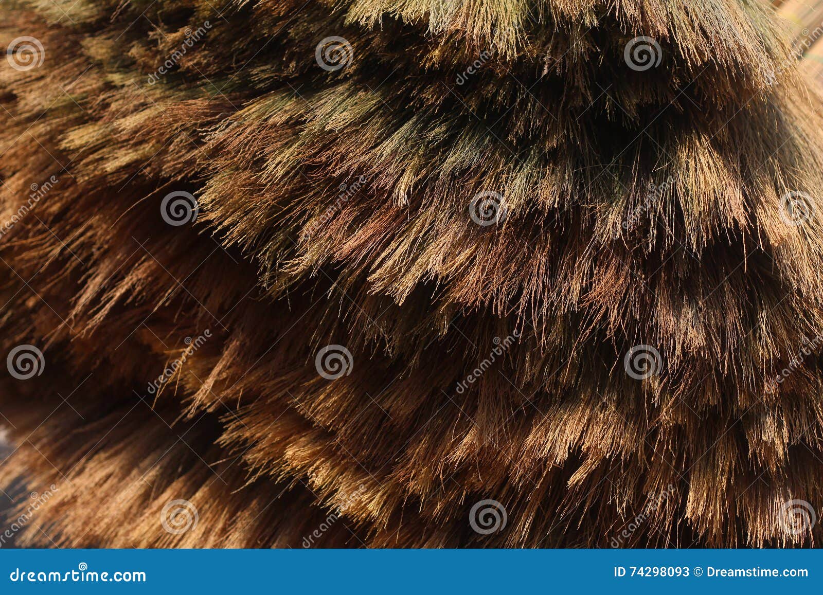 Dry grass broom fiber stock image. Image of stiff, grass - 74298093