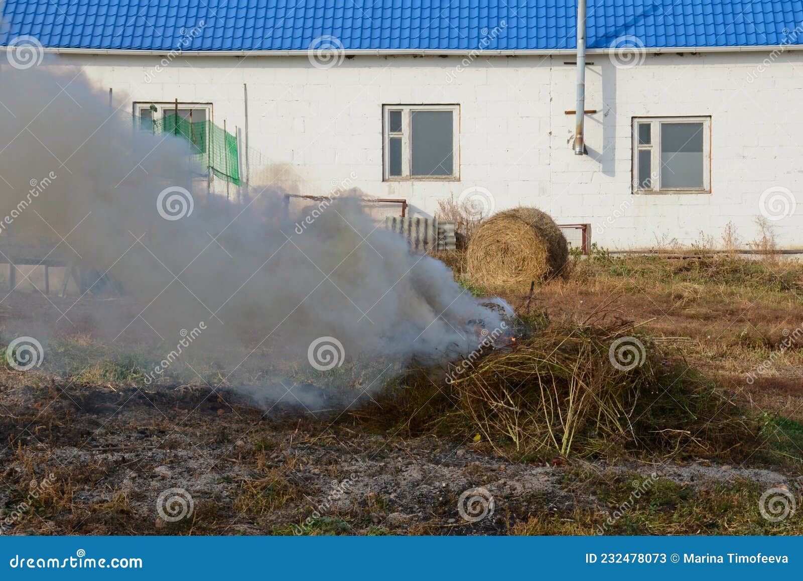 Dry Grass is Burned on the Farm. Bringing Order To Agriculture Stock ...