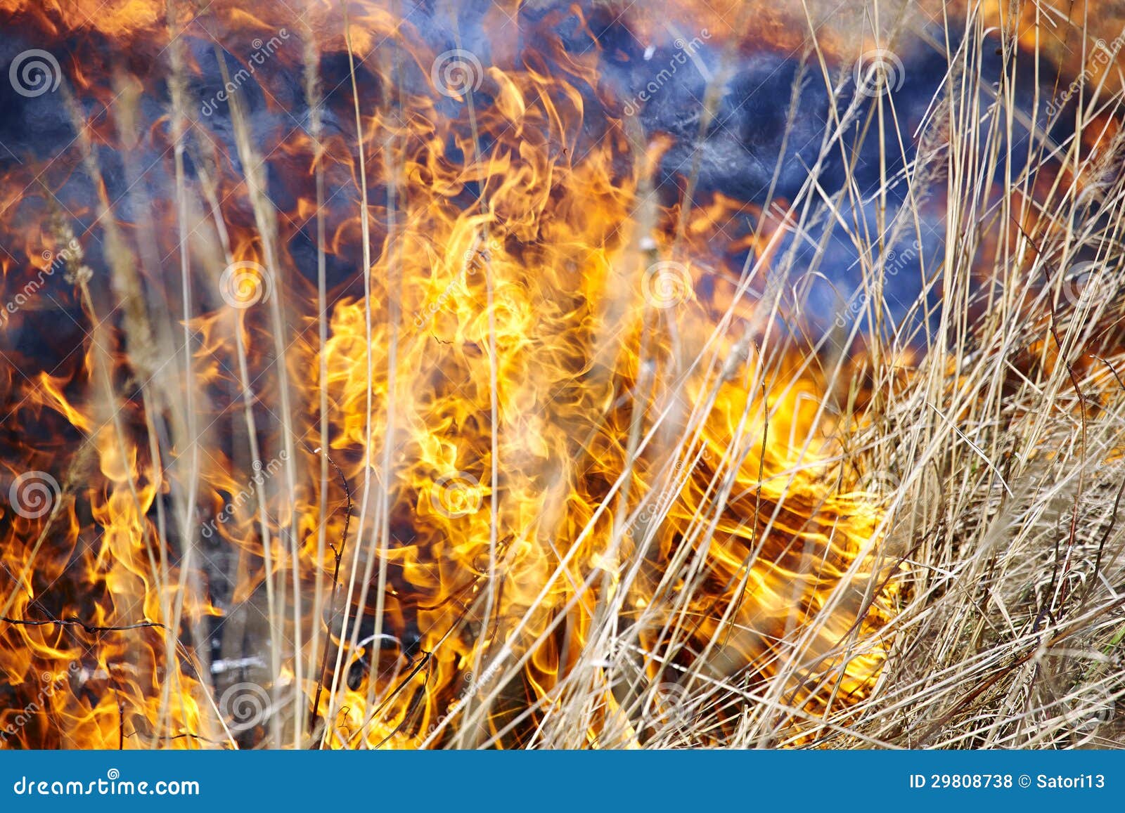 Fire in grass stock photo. Image of emergency, danger - 29808738