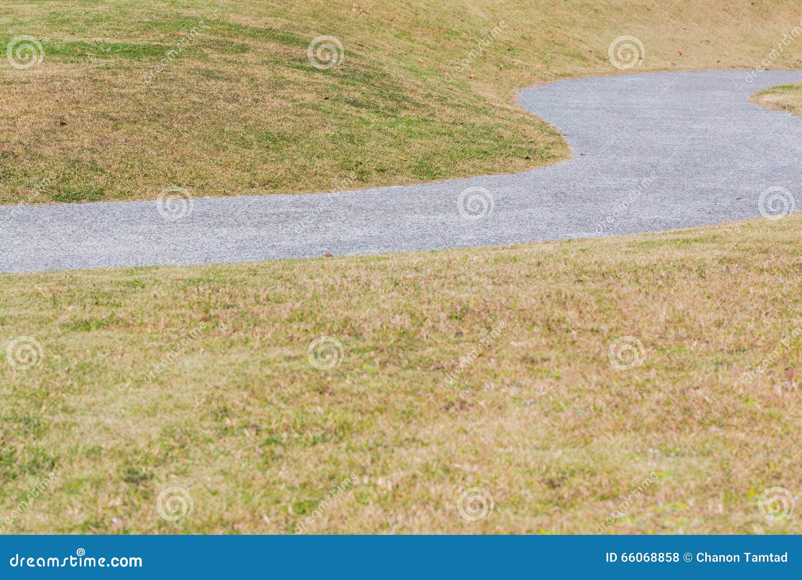 Dry Grass Field with Curved Walkway Road. Stock Photo - Image of garden ...