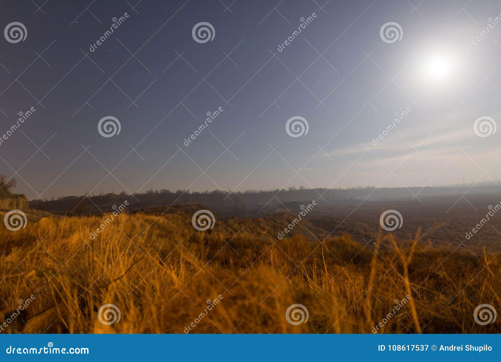 Dry Grass in a Field in the Moonlight Night Stock Image - Image of ...
