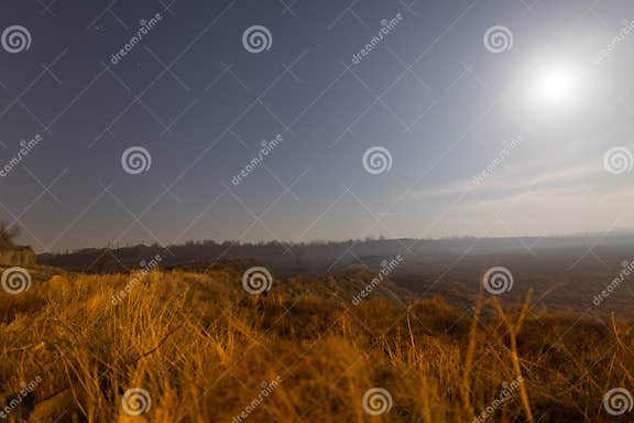 Dry Grass in a Field in the Moonlight Night Stock Image - Image of ...