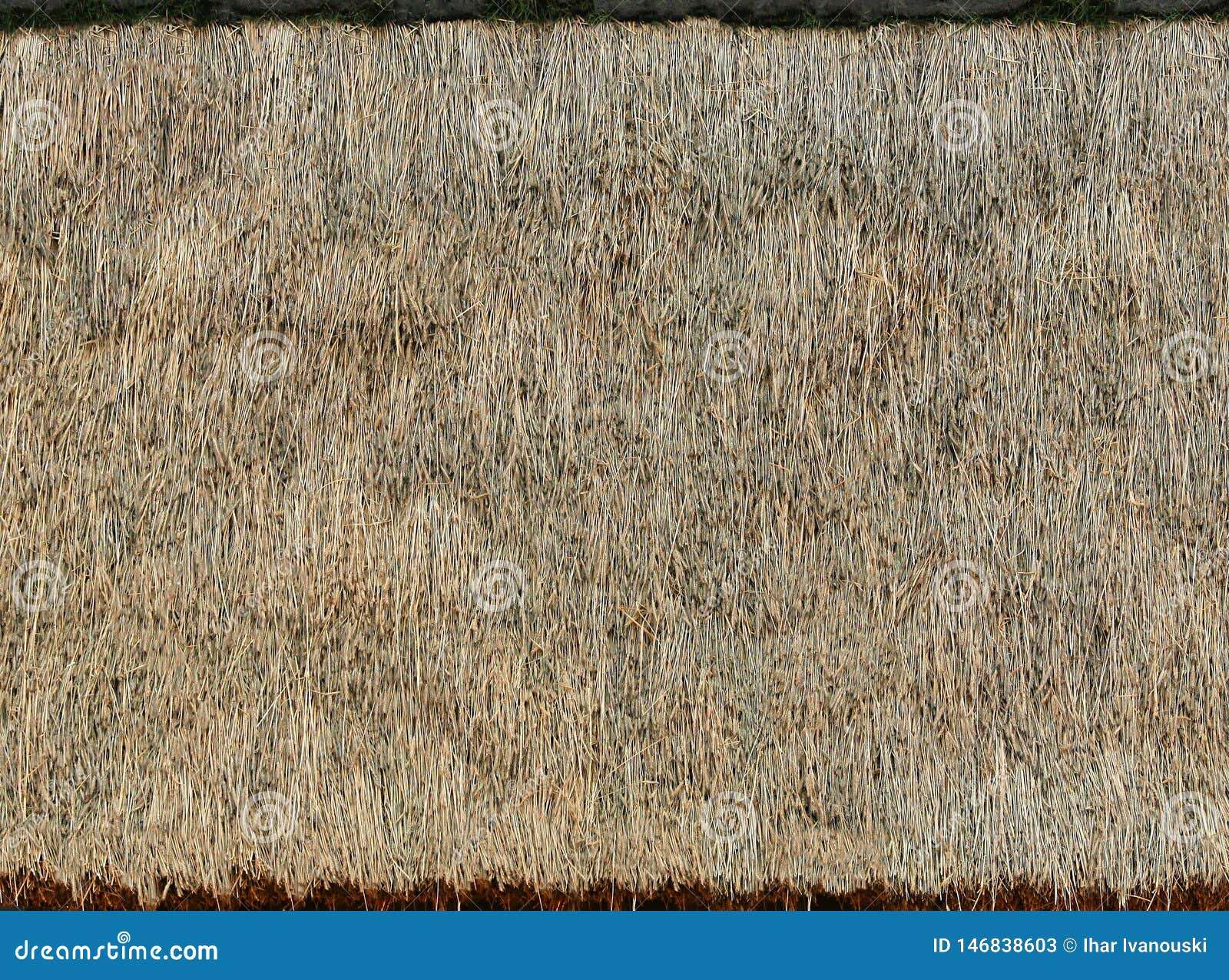 Dry Grass Gray Lying on the Roof.Texture or Background. Stock Image ...