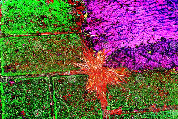 The Dry Grass Growing Through The Gap Of The Cement Blocks Abstract