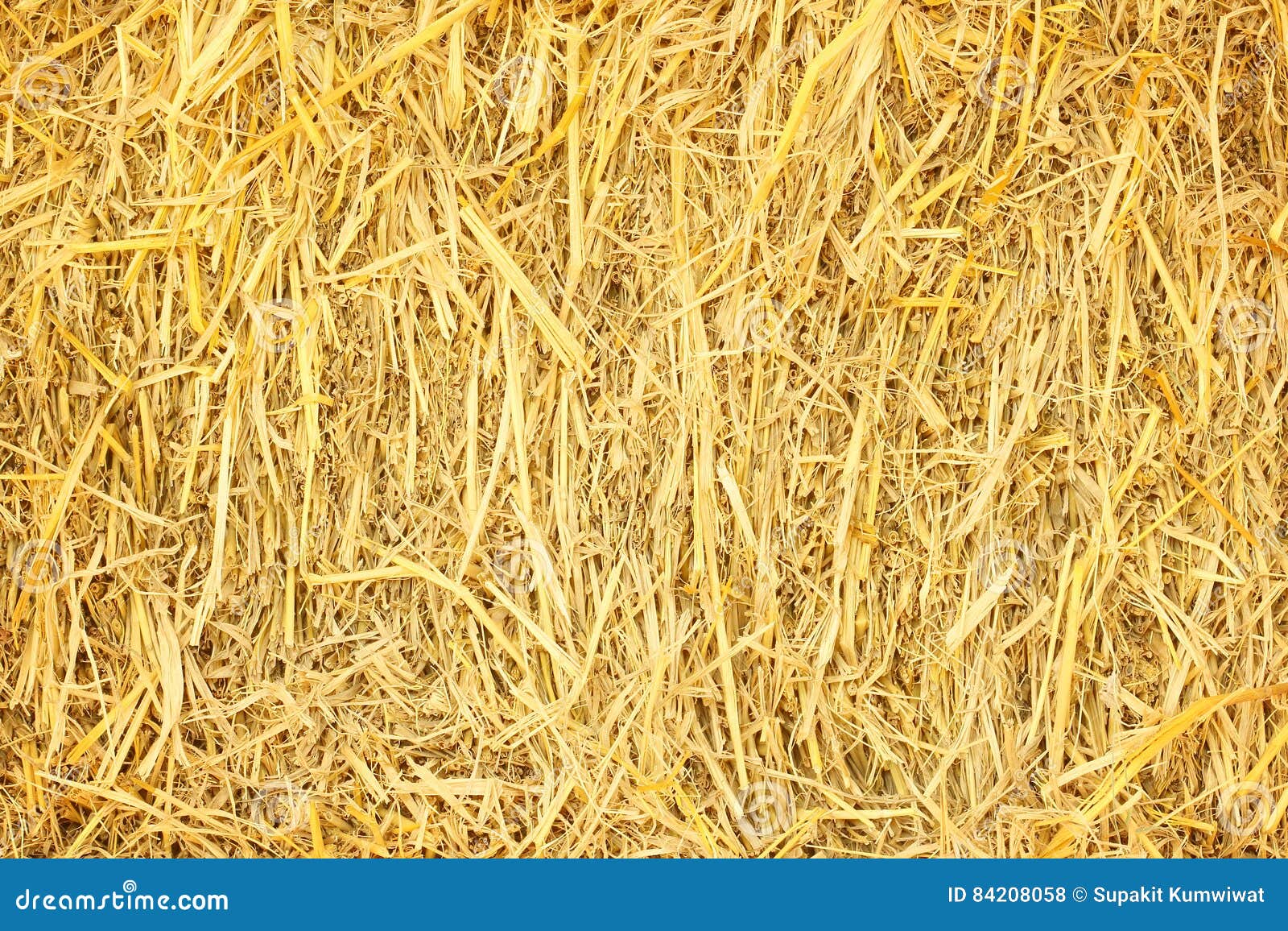 Dry Grass, Hay, Straw Textured Border Background Stock Photo - Image of ...