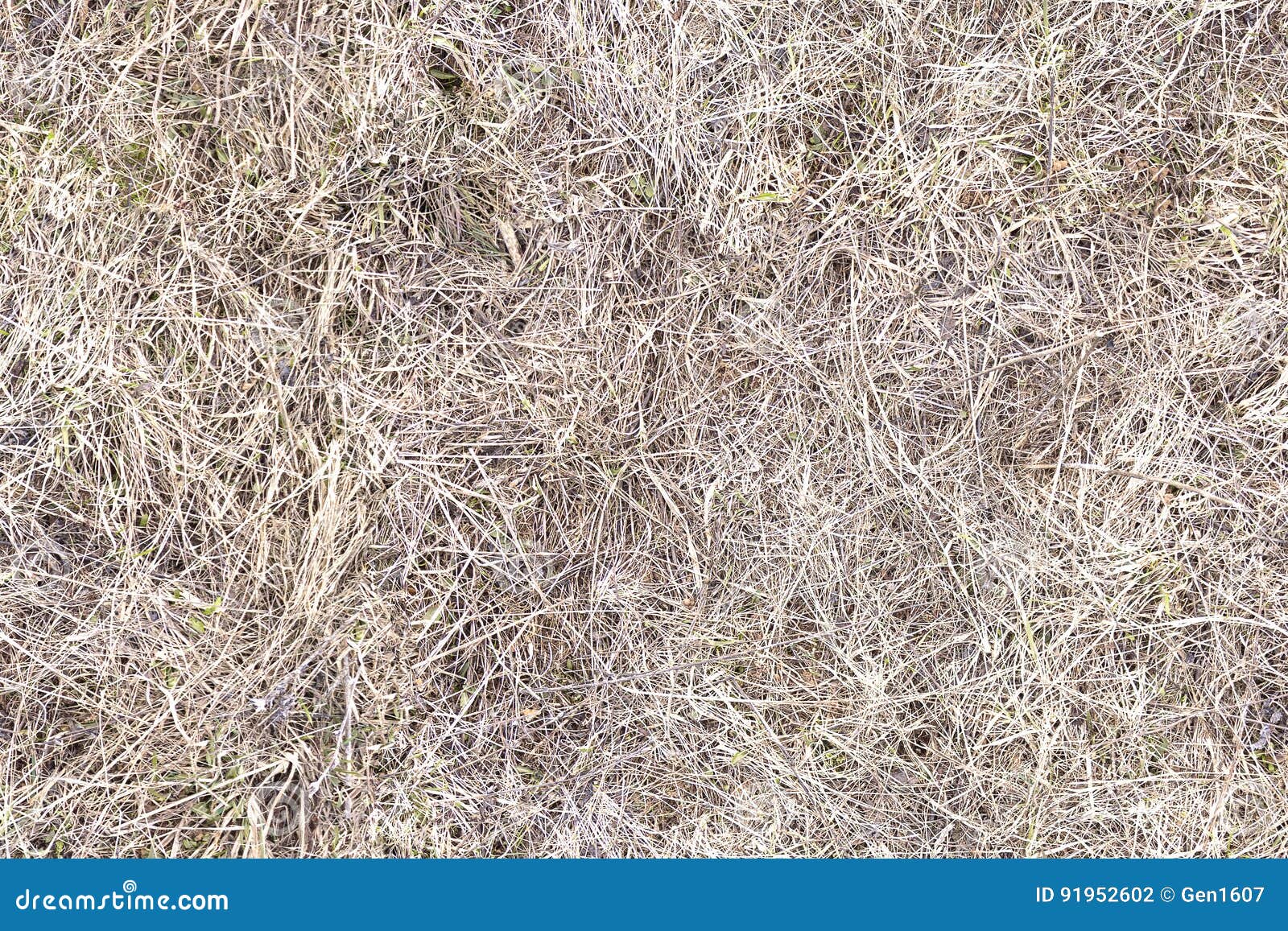 Dry Grass Hay Texture Seamless Stock Photo - Image of backdrop, straw ...