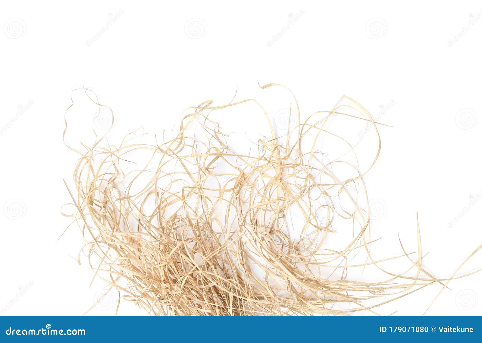 Dry Grass Isolated on White Background. Stock Photo - Image of nature ...
