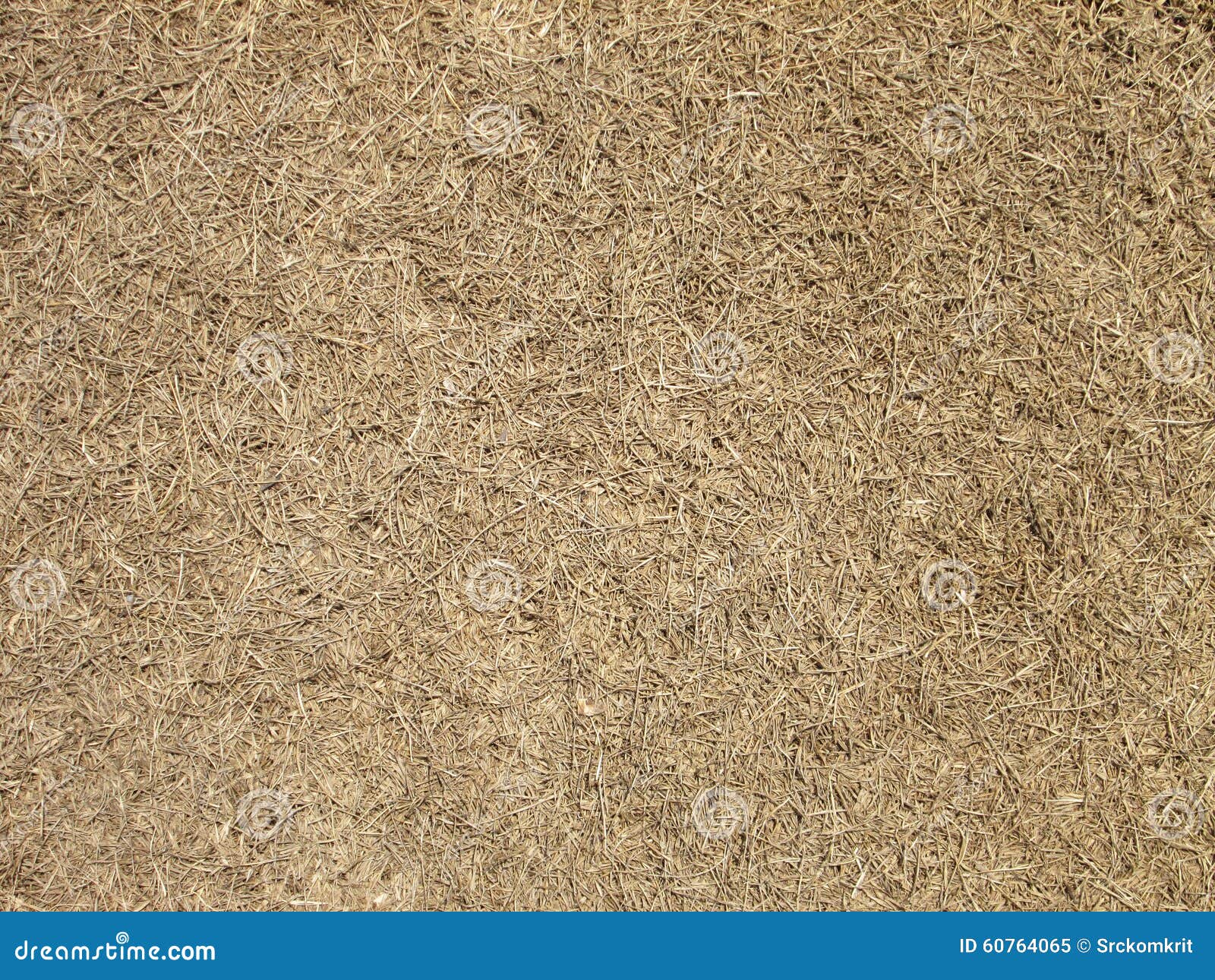 Dry grass land background stock image. Image of grow - 60764065