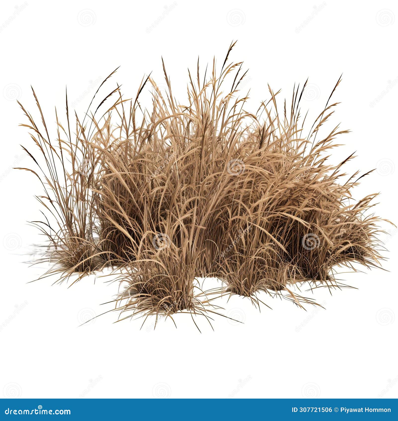 Dry Grass Overlays Transparent Background Royalty-Free Stock Image ...