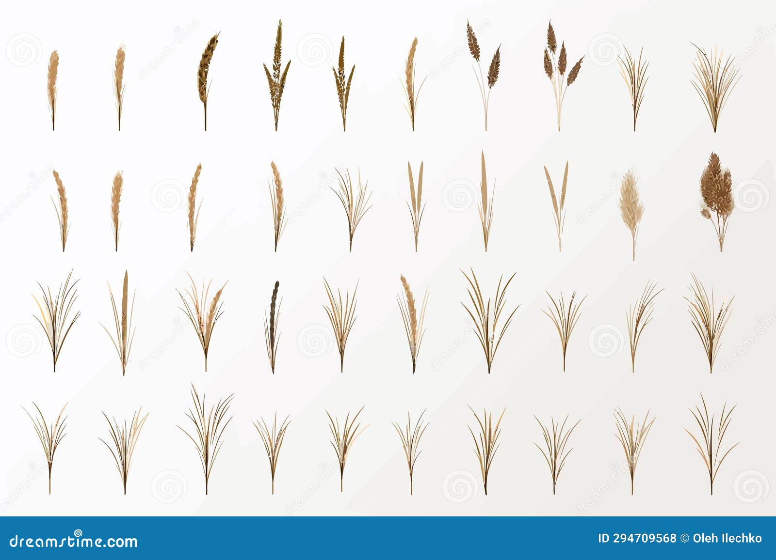 Dry Grass Patches Set Vector Flat Minimalistic Isolated Vector Style ...