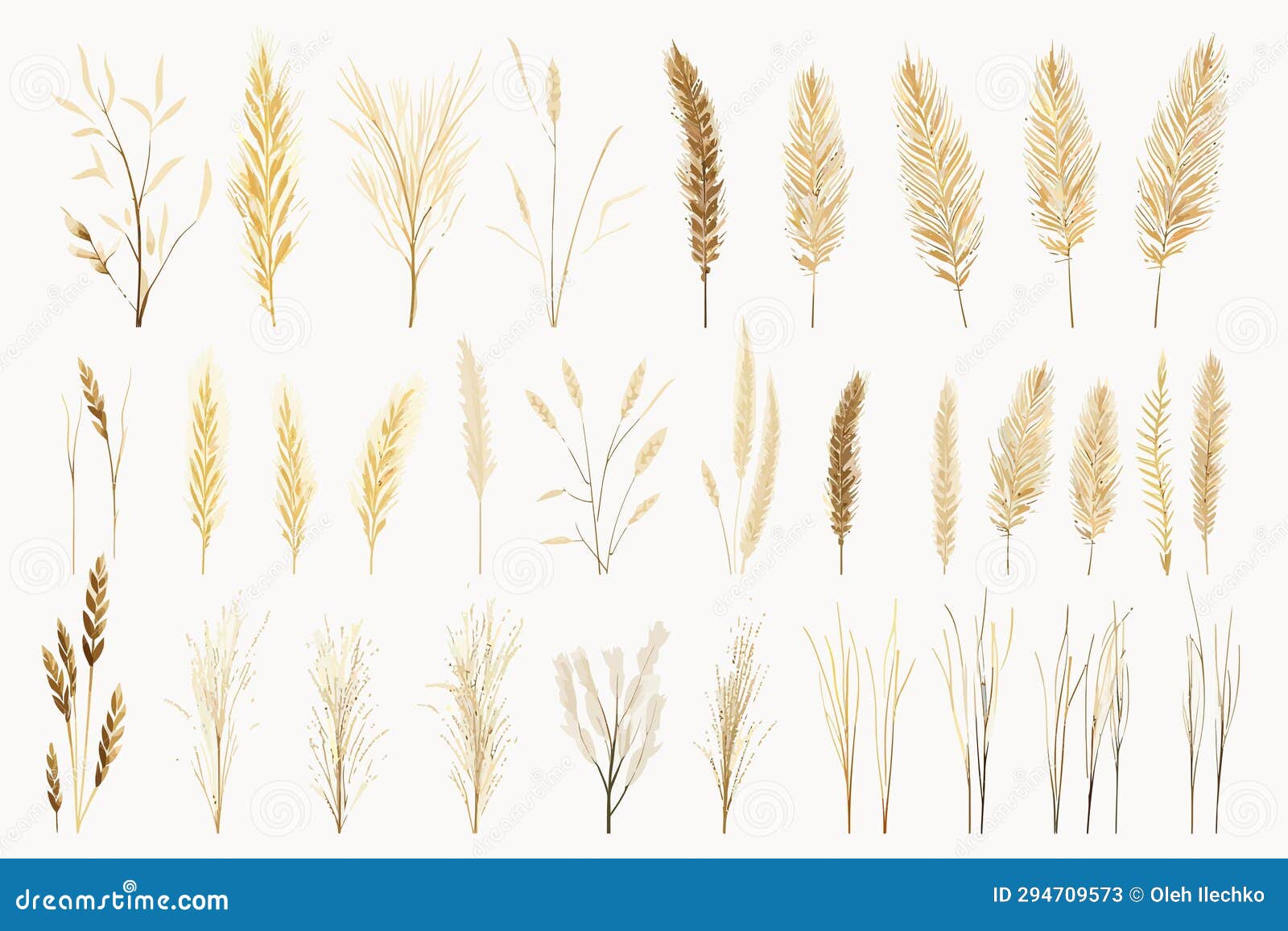 Dry Grass Set Vector Flat Minimalistic Isolated Vector Style ...