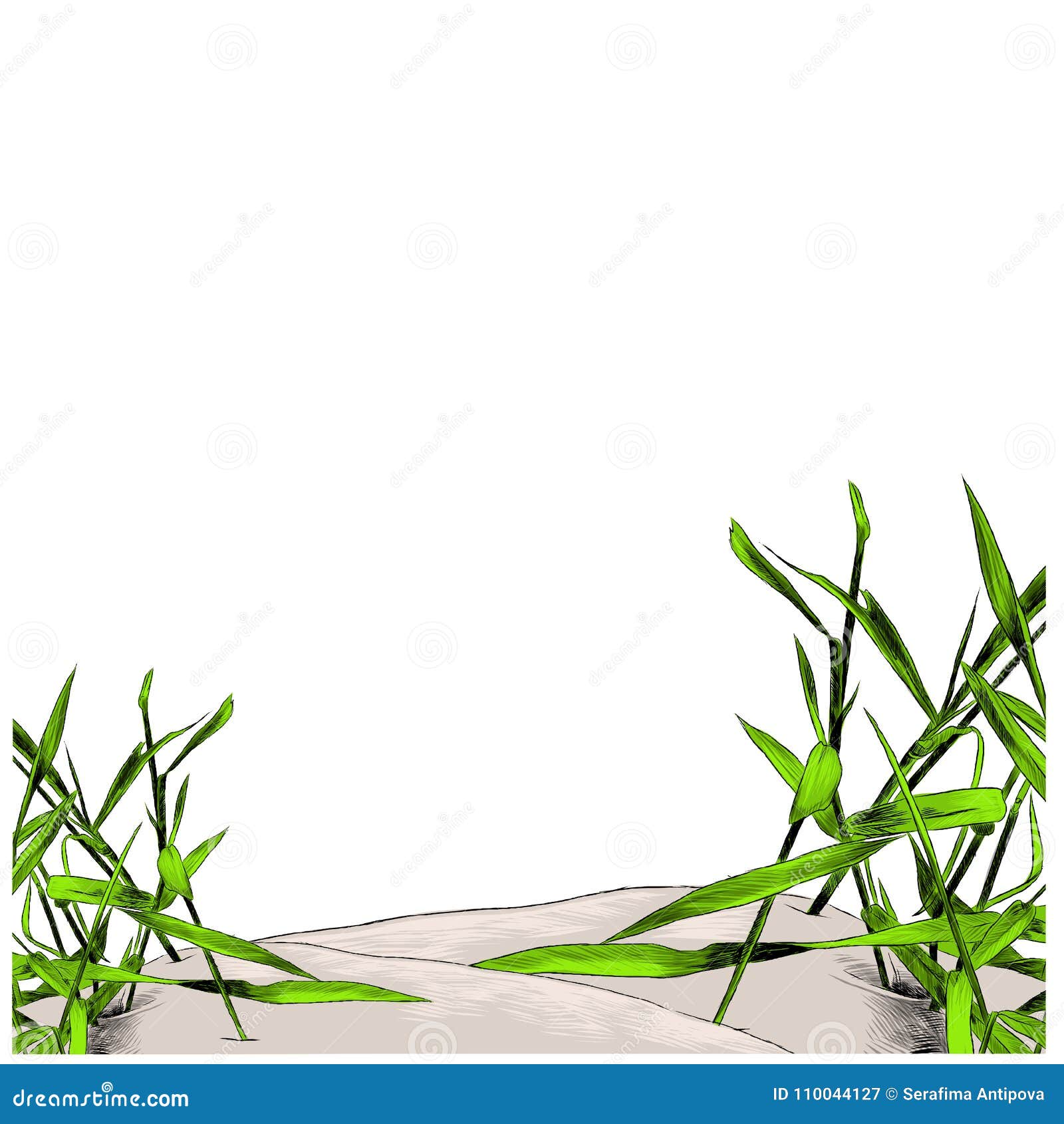 Dry Grass Sketch Vector Graphics Stock Vector - Illustration of stalk ...