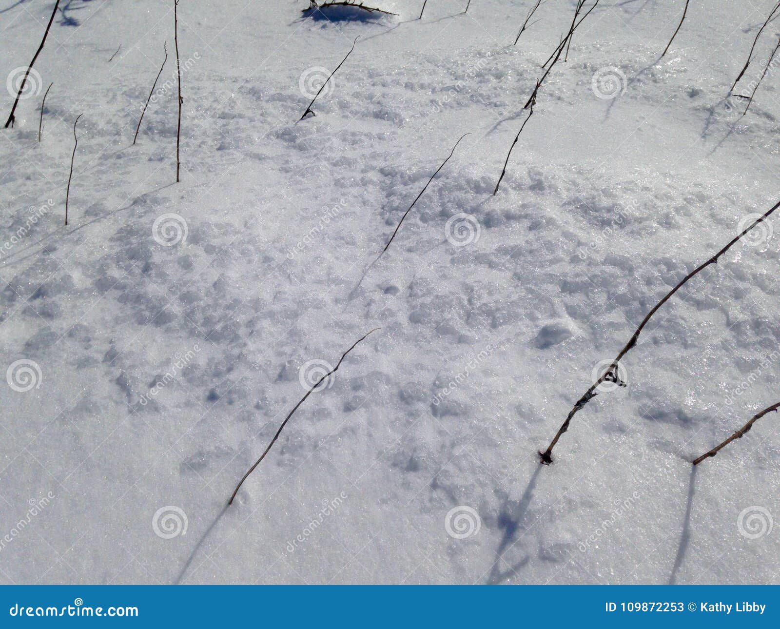 Dry grass sprigs stock image. Image of poking, abstract - 109872253