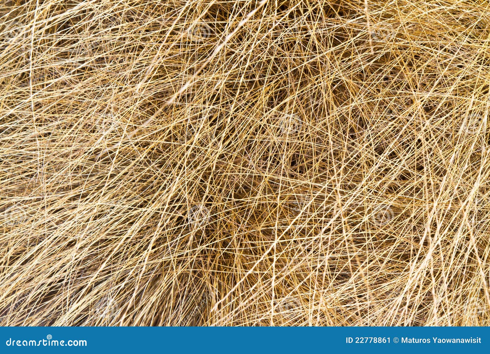 Dry grass texture stock image. Image of frame, farming - 22778861