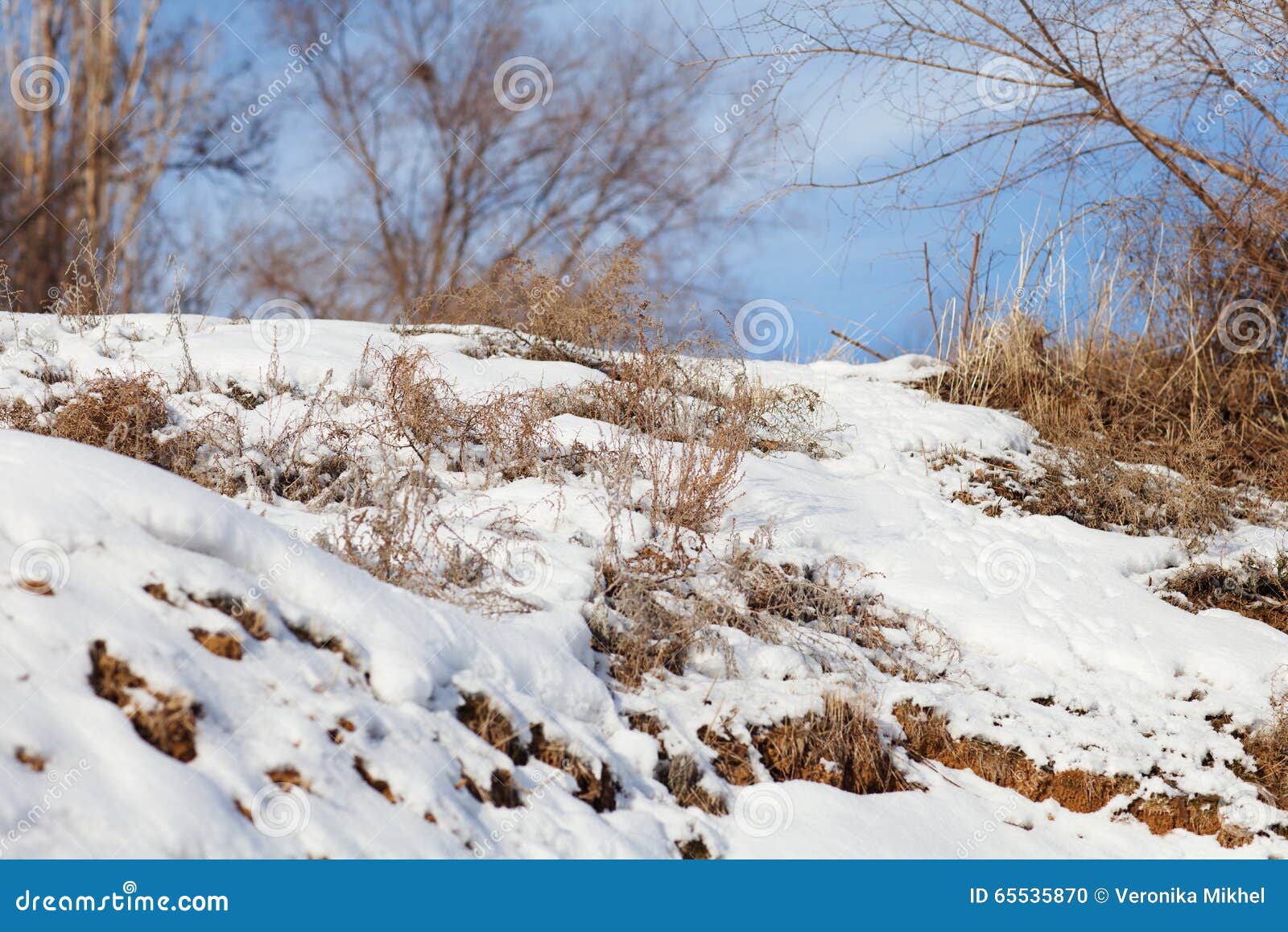 Dry Grass Under Snow and Sky Stock Photo - Image of detail, frozen ...