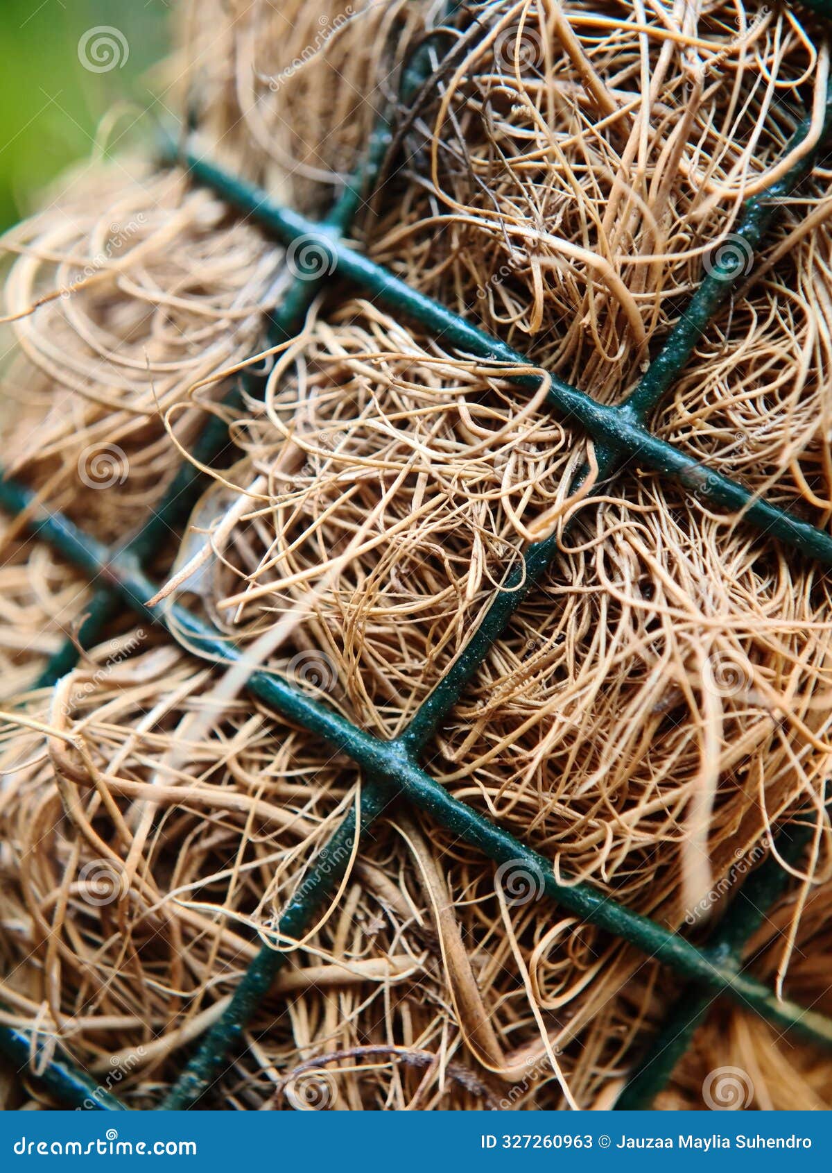 Dry Grass in Wire Mesh stock image. Image of wire, bird - 327260963
