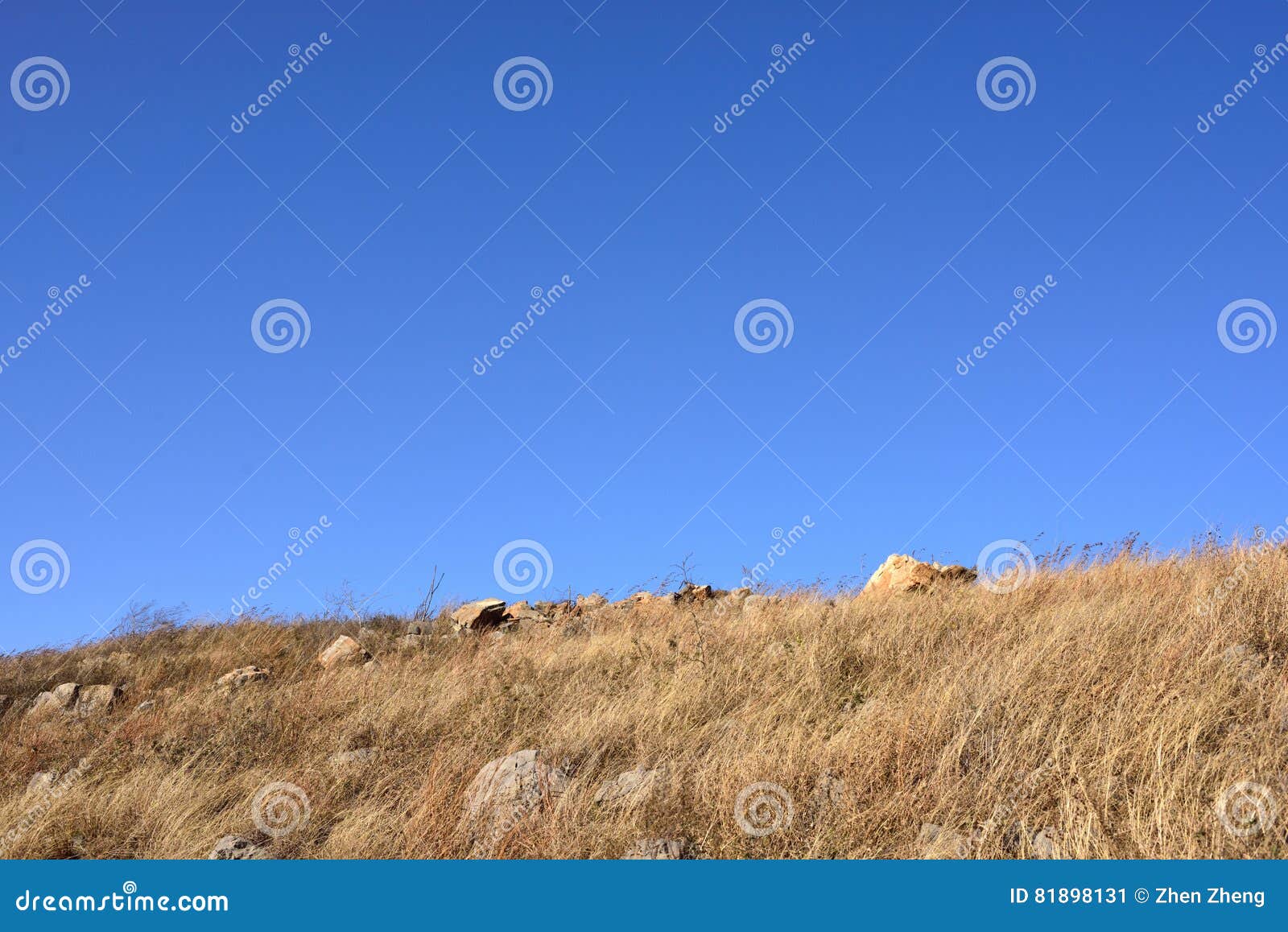Dry Grasses and Rock stock image. Image of plant, blue - 81898131