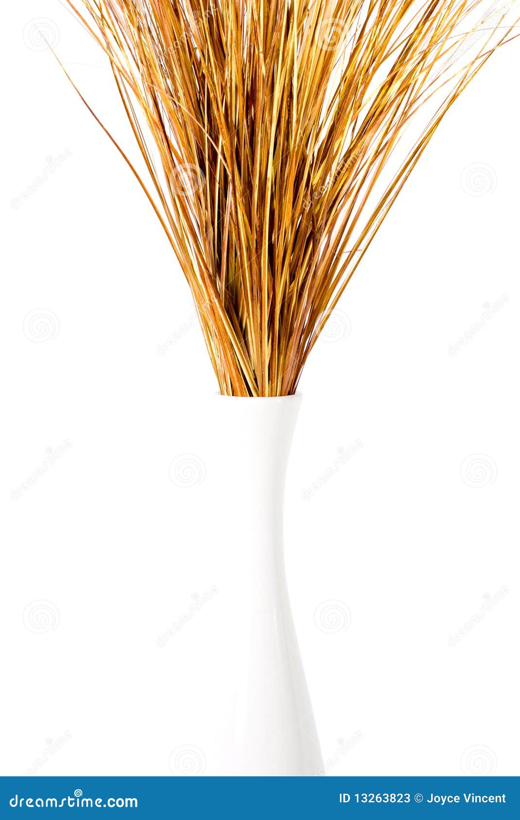 Dry grasses in white vase stock image. Image of isolated - 13263823
